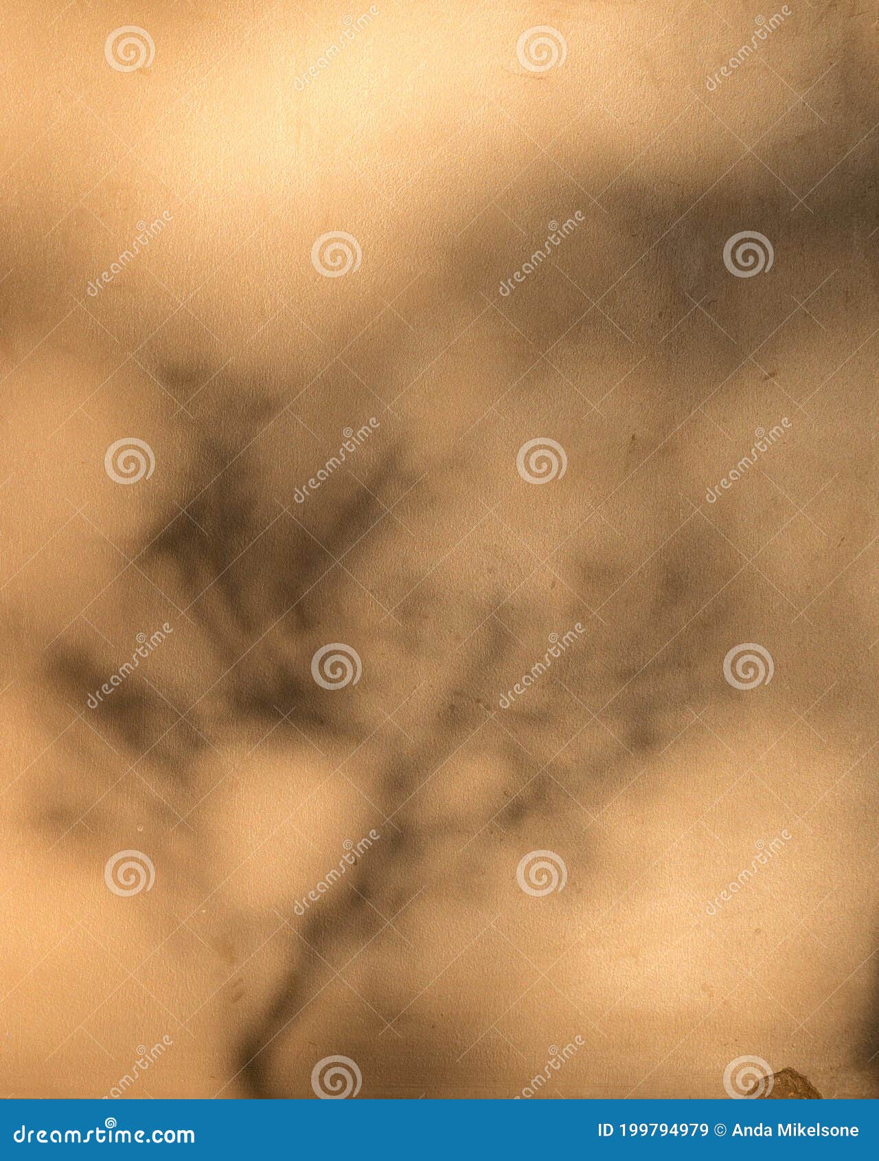 Abstract Photo with a Blurred Shadow on the Wall, Suitable for the ...
