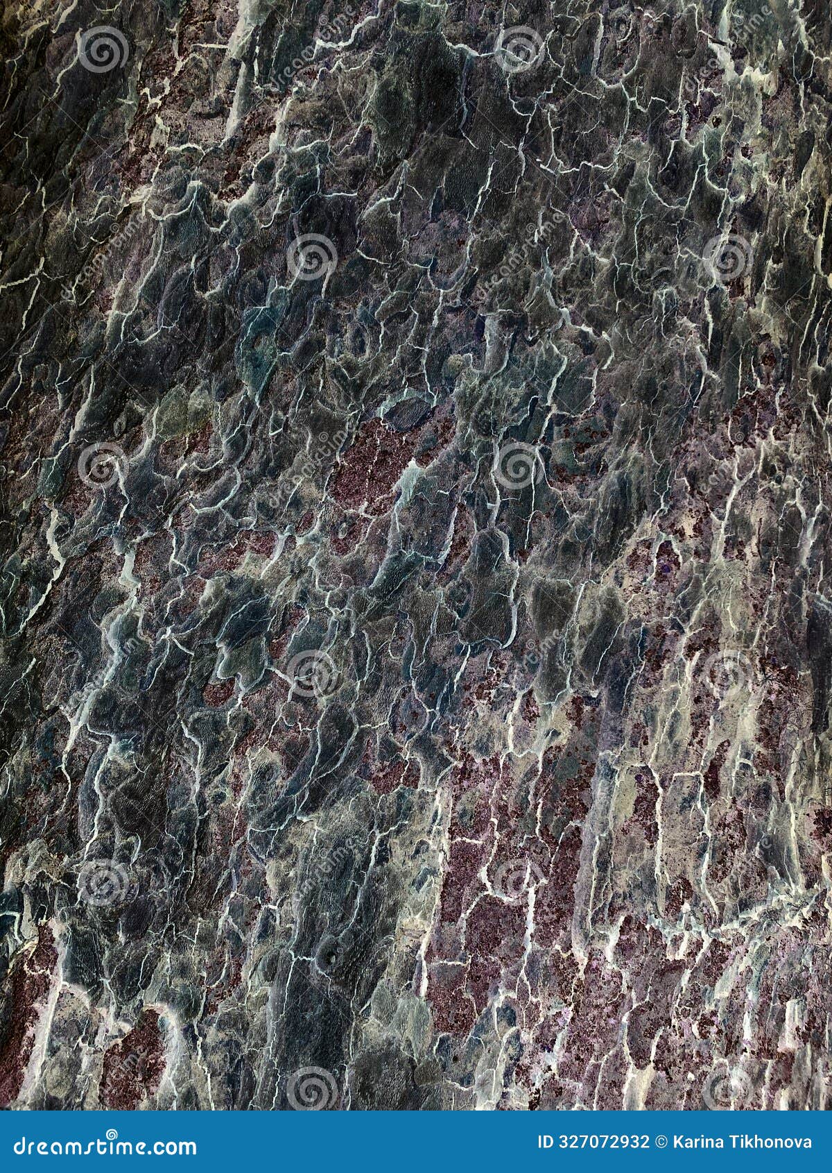 Abstract Photography Background of Negative Processed Tree Bark ...