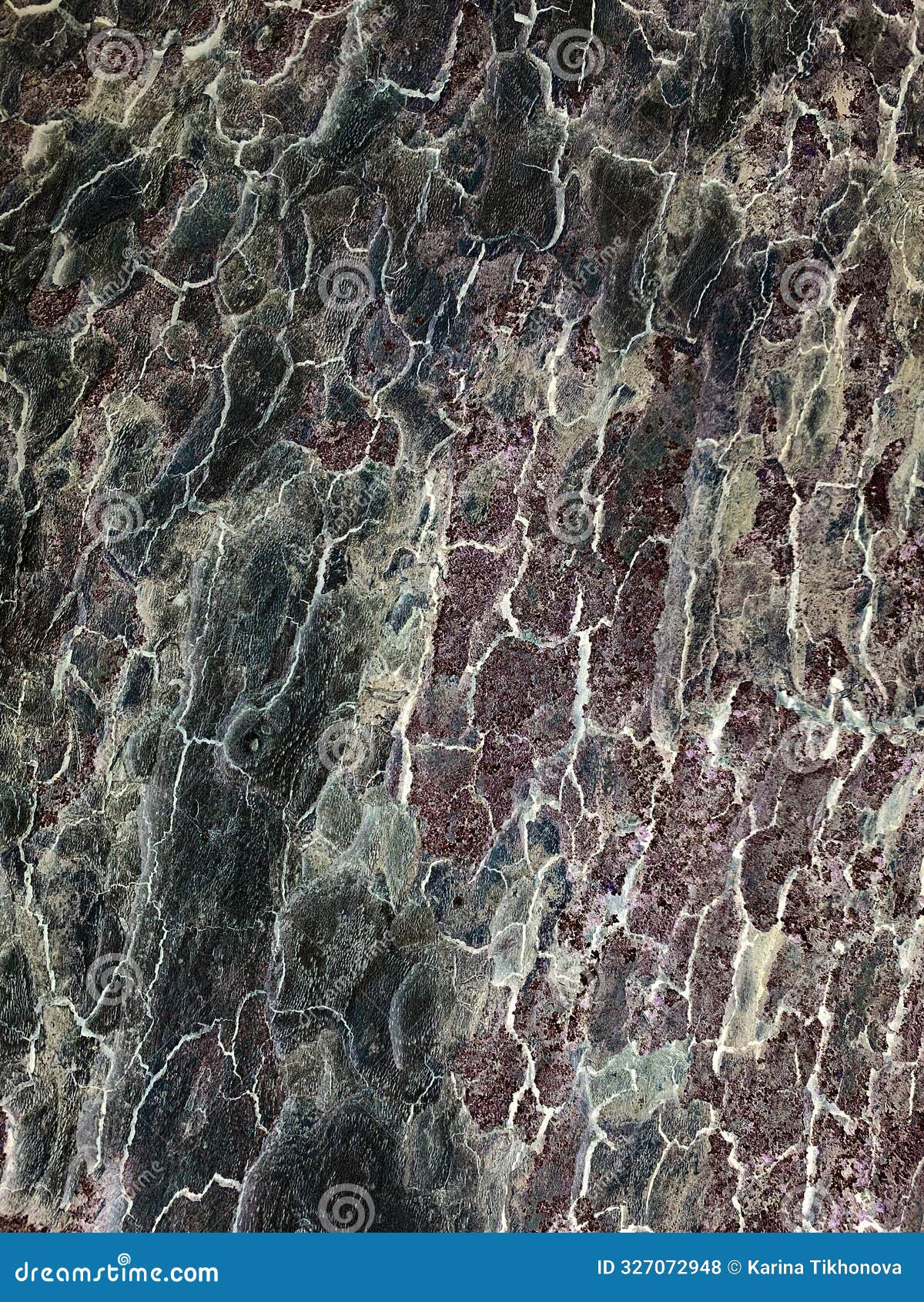 Abstract Photography Background of Negative Processed Tree Bark ...