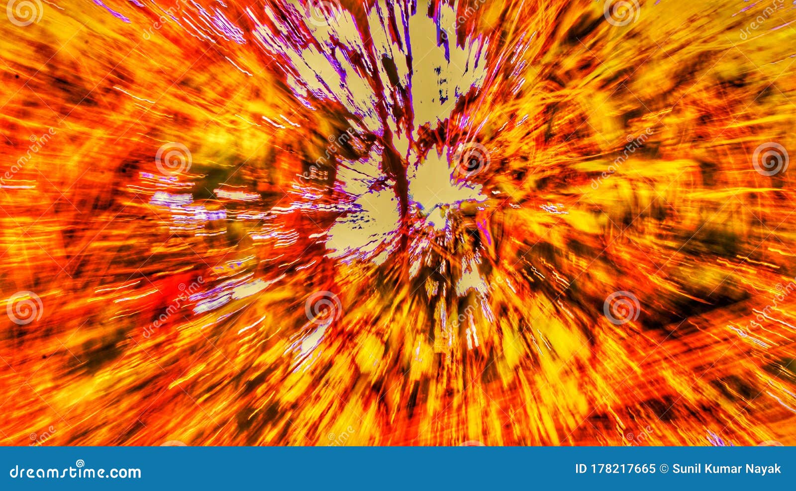 Abstract Photography of Trees in the Garden, Using Camera Effects. Pull ...