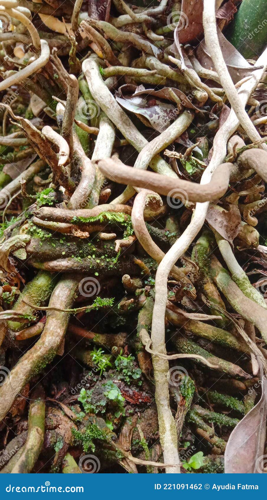 Abstract Photos with Strange Patterns, Very Suitable As a Background ...