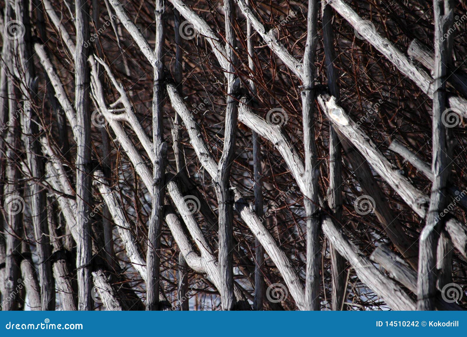 Abstract picket fence stock photo. Image of pattern, natural - 14510242