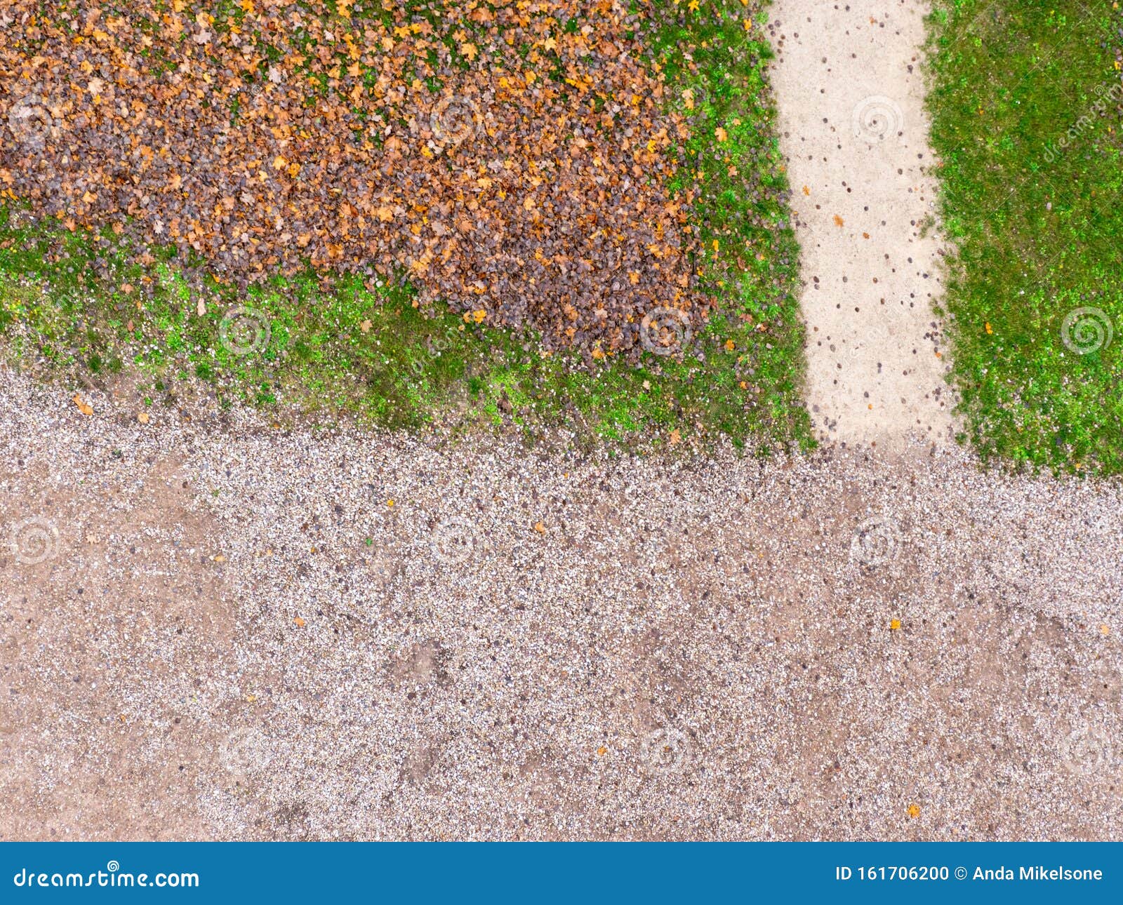 Picture with Beautiful Leaf Pattern on the Ground, Top View, Suitable ...