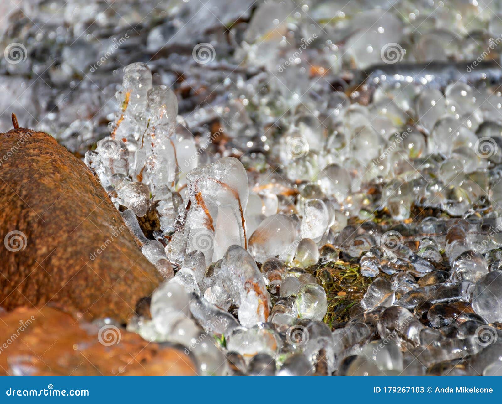 Abstract Picture with Ice Cubes Embracing Grass and Tree Roots Stock ...