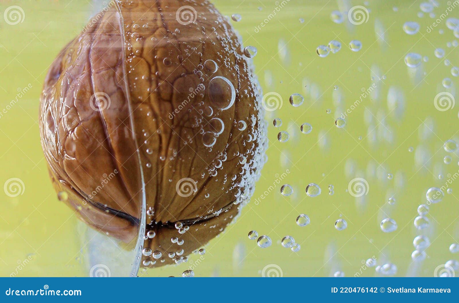 Abstract Picture of a Walnut in a Shell with Bubbles and Water Stock ...