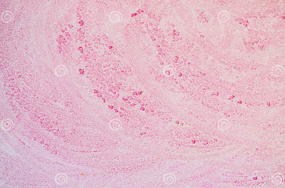 Abstract Pink Background Texture Splash Paint Stock Image - Image of ...