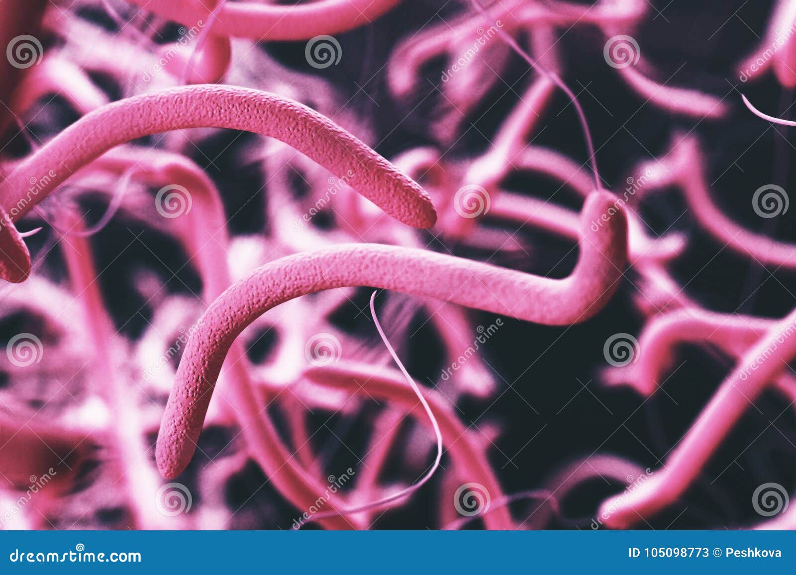 Pink Bacteria Royalty-Free Stock Photography | CartoonDealer.com #28794665