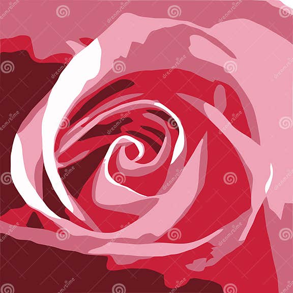 Abstract Pink Rose stock illustration. Illustration of bouquet - 4061242