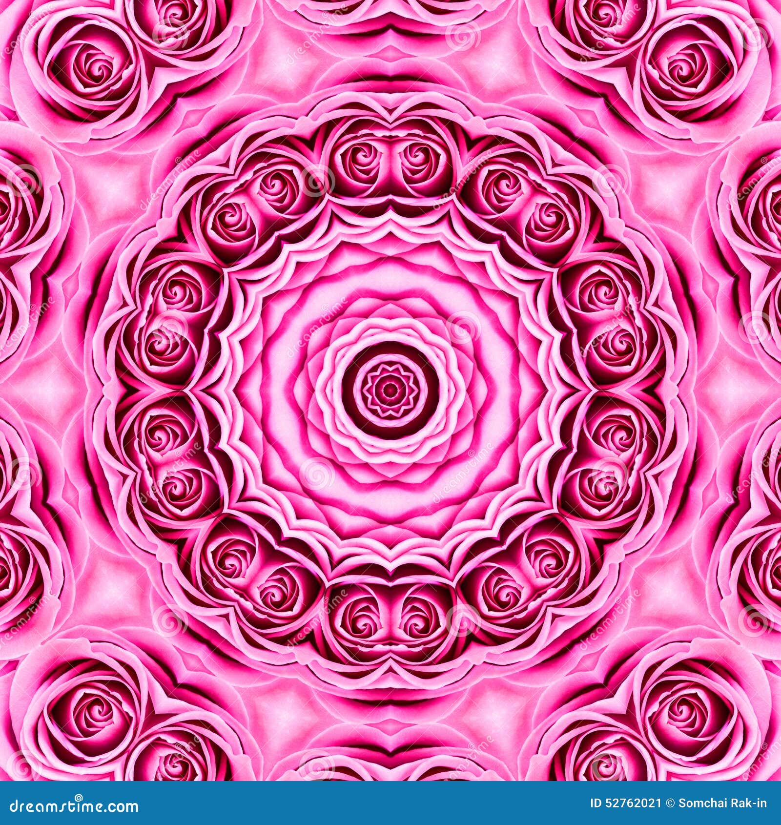 Abstract Pink Rose Pattern Background. Stock Image - Image of ...