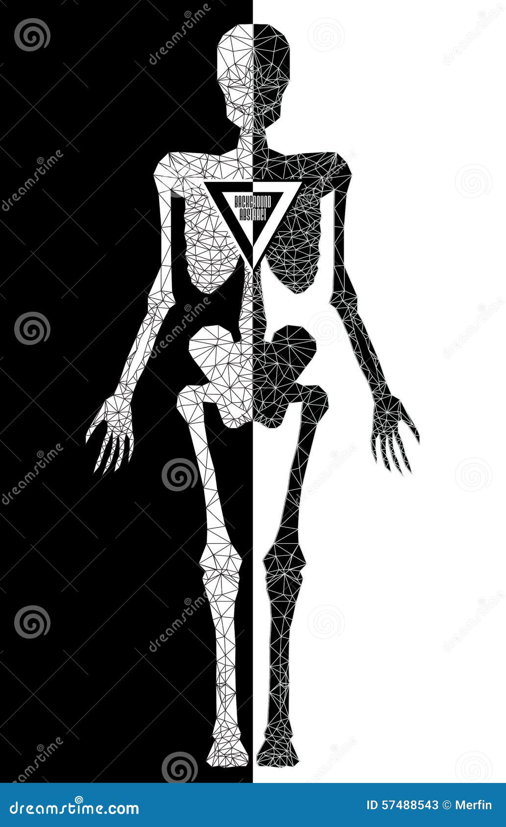 Abstract Polygonal Skeleton Stock Vector - Illustration of diamond ...