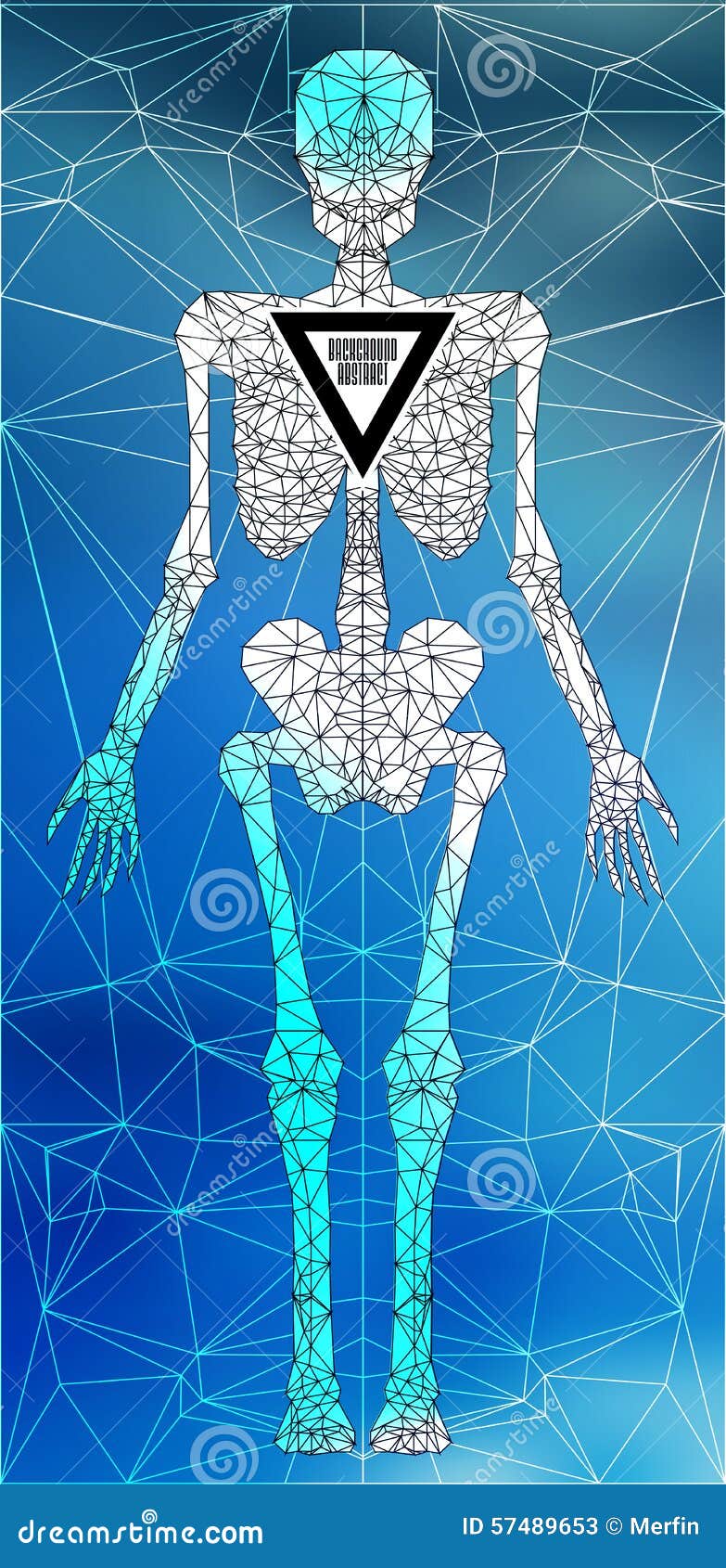 Abstract Polygonal Skeleton Stock Vector - Illustration of lines ...