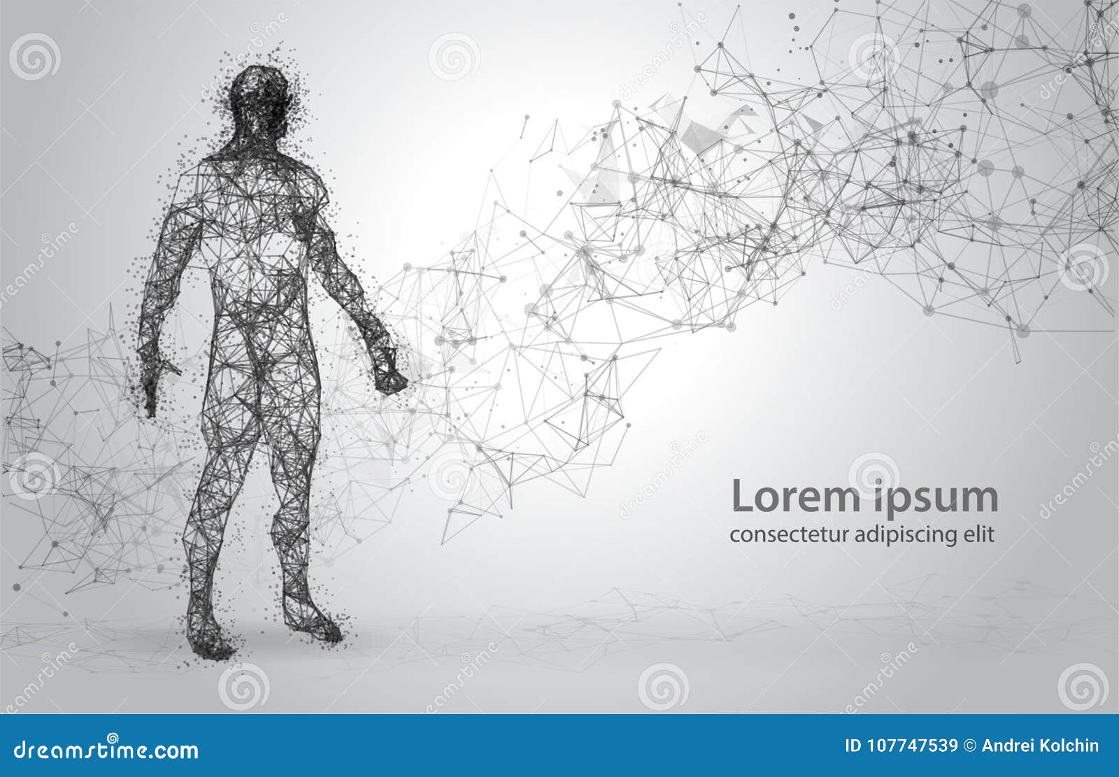 Abstract Wire Frame Human Body. Polygonal 3d Model on White Background ...