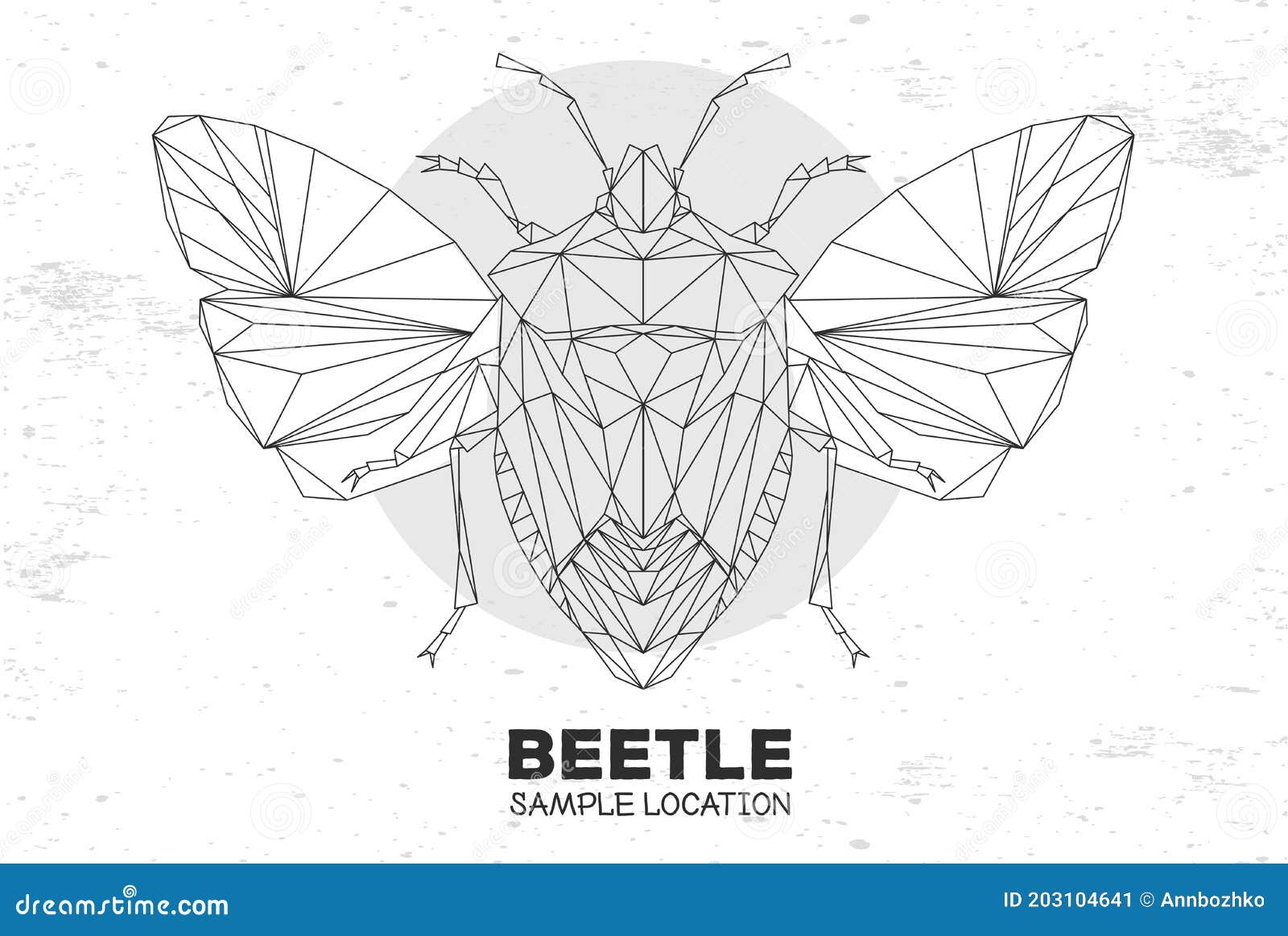 Abstract Polygonal Triangle Shield Beetle. Artistic Bug. Entomological ...