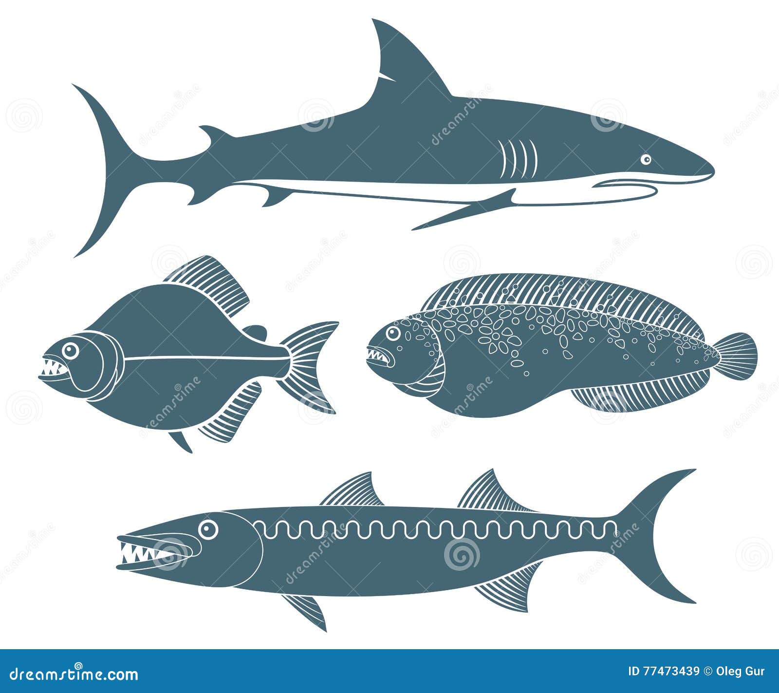 Predator Fish Seascape, Shark Drawing Under Water Landscape, Predatory ...