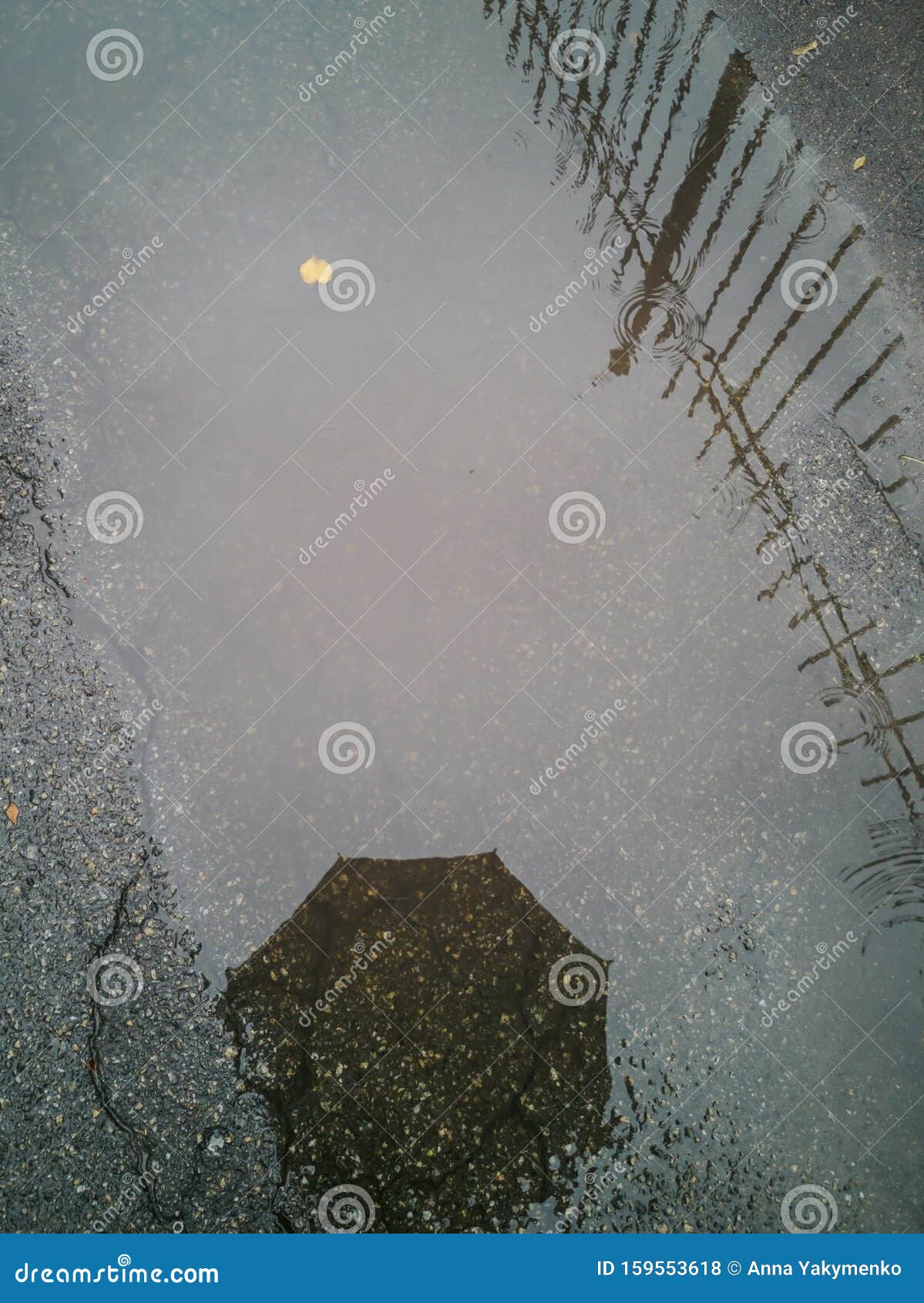 Abstract Puddle Background, Reflection In A Puddle Of Umbrella And ...