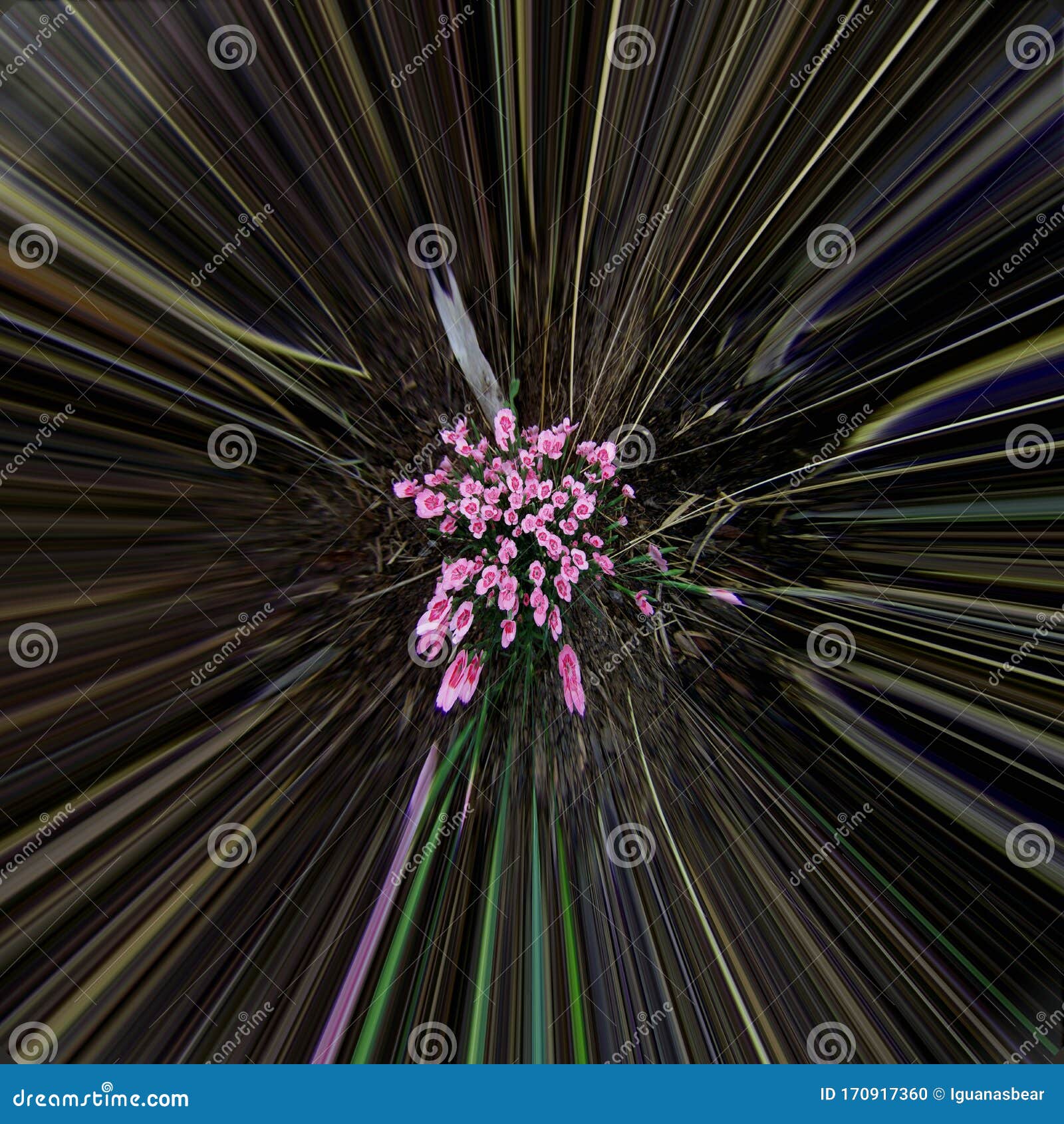 Abstract Radiant Centralized Floral Background Stock Illustration ...