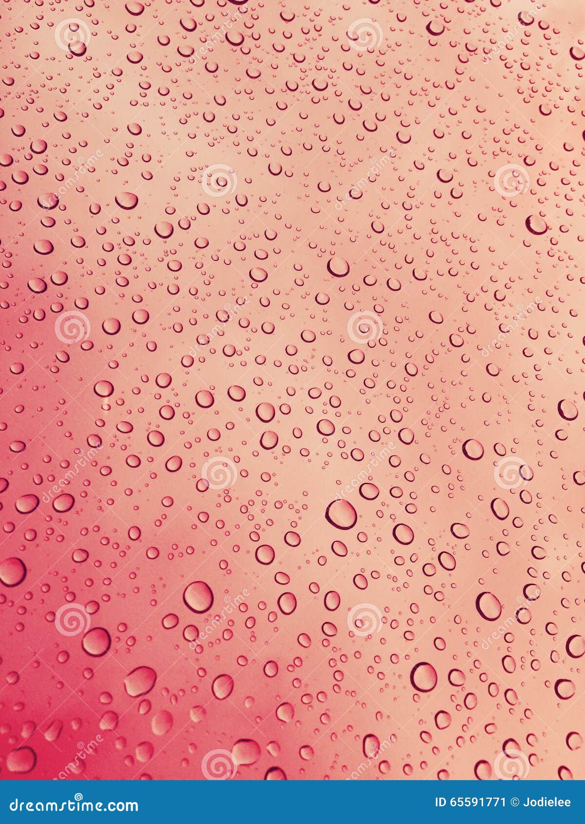 Abstract Rain Drops on Glass in Pink Ombre Stock Image - Image of ...