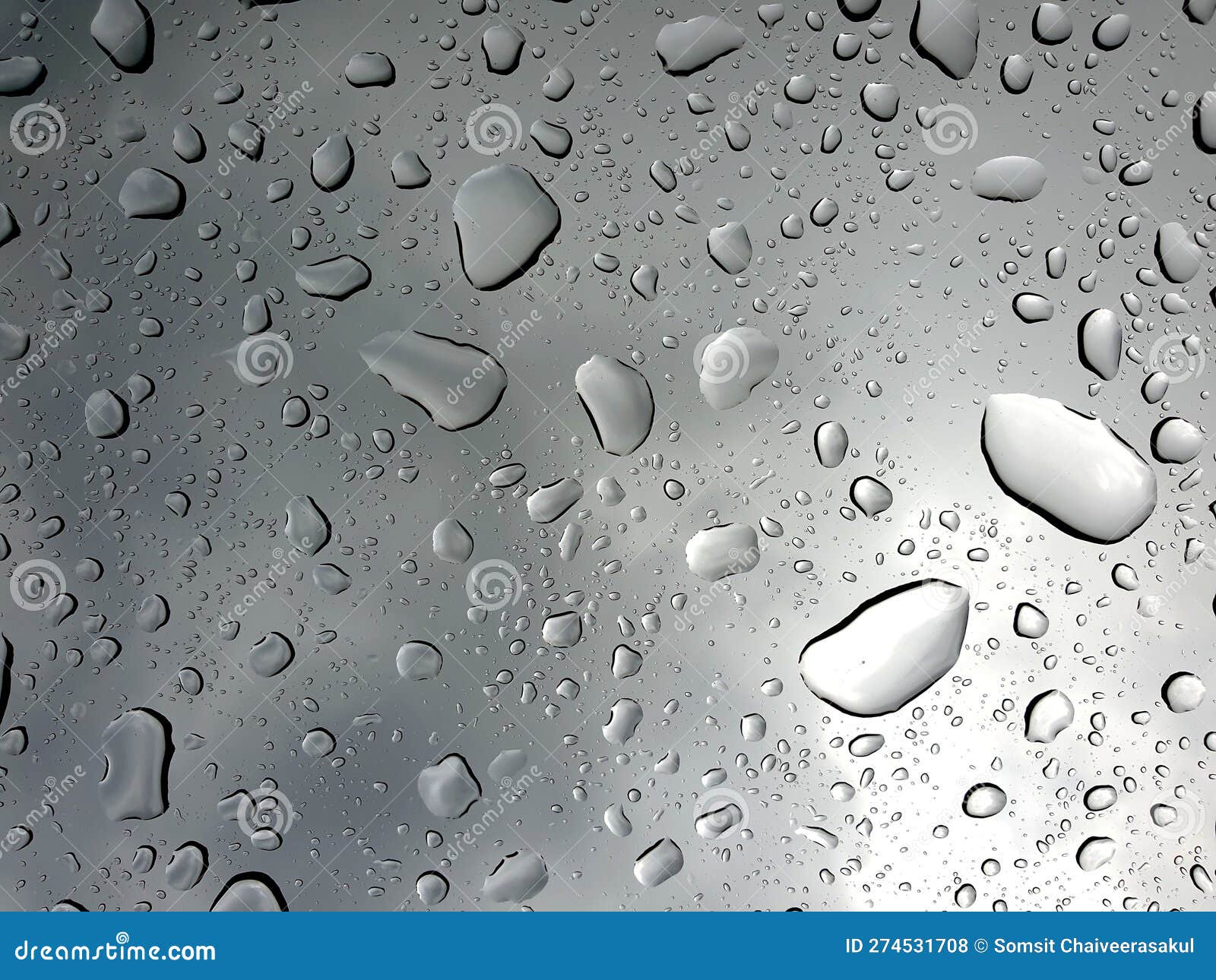 Abstract of Raindrop Bubbles on the Sunroof Stock Photo - Image of ...