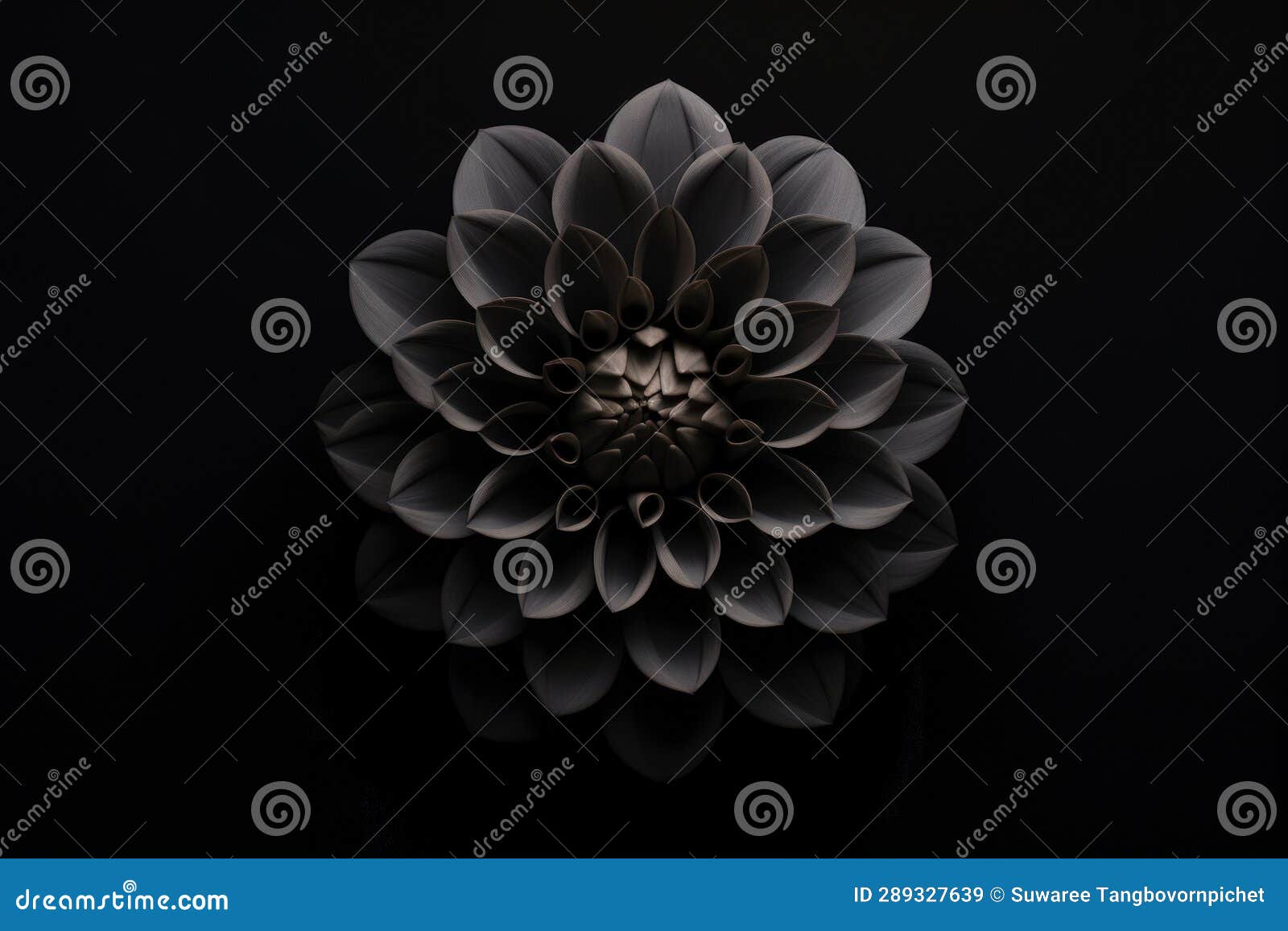 Abstract Random Art Flower Curve Line Concept Empty Background Stock ...