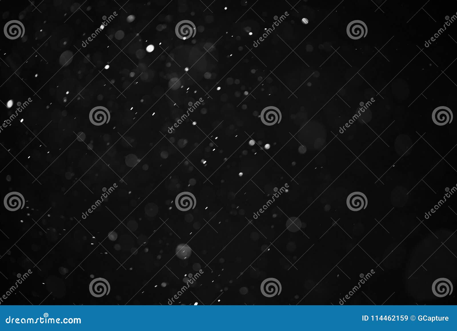 Abstract Real Purple Dust Floating Over Black Background.Dust Paricles ...