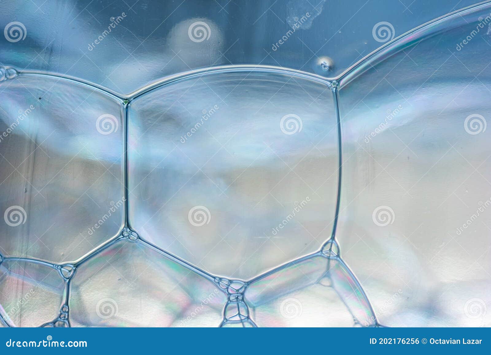 Abstract Rectangular Shaped Soap Bubbles in Plastic Bottle Macro Close ...