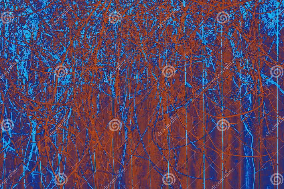Abstract Red and Blue Colors Background for Design Stock Image - Image ...