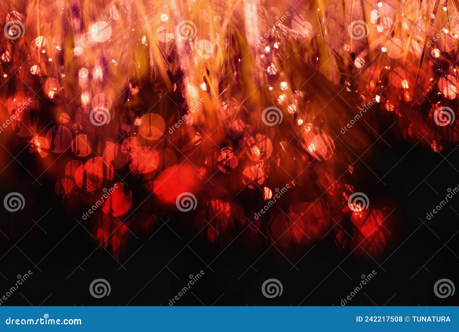 Abstract Red Blurred Lights on the Black Background Stock Photo - Image ...