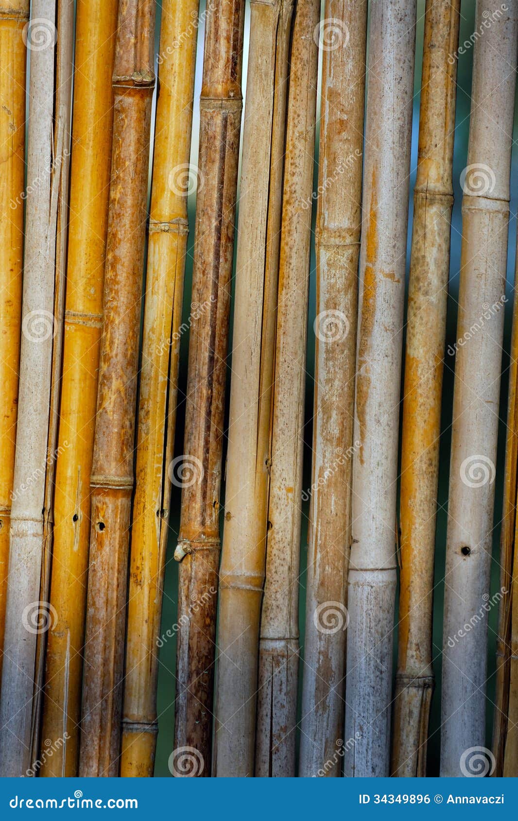 Reed Texture Stock Image | CartoonDealer.com #59073703
