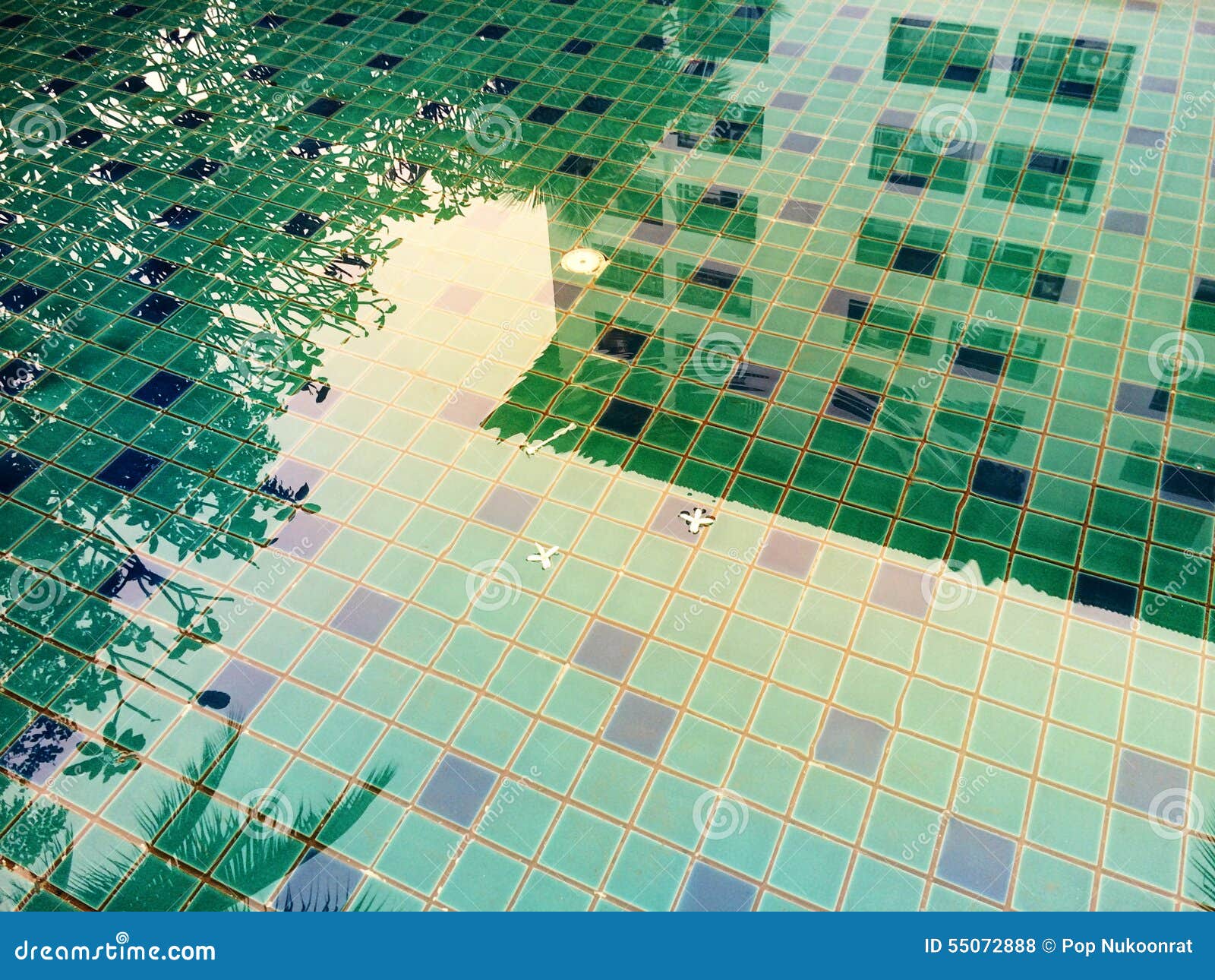 Abstract Reflection Building in the Water in Colorful Swimming Pool ...
