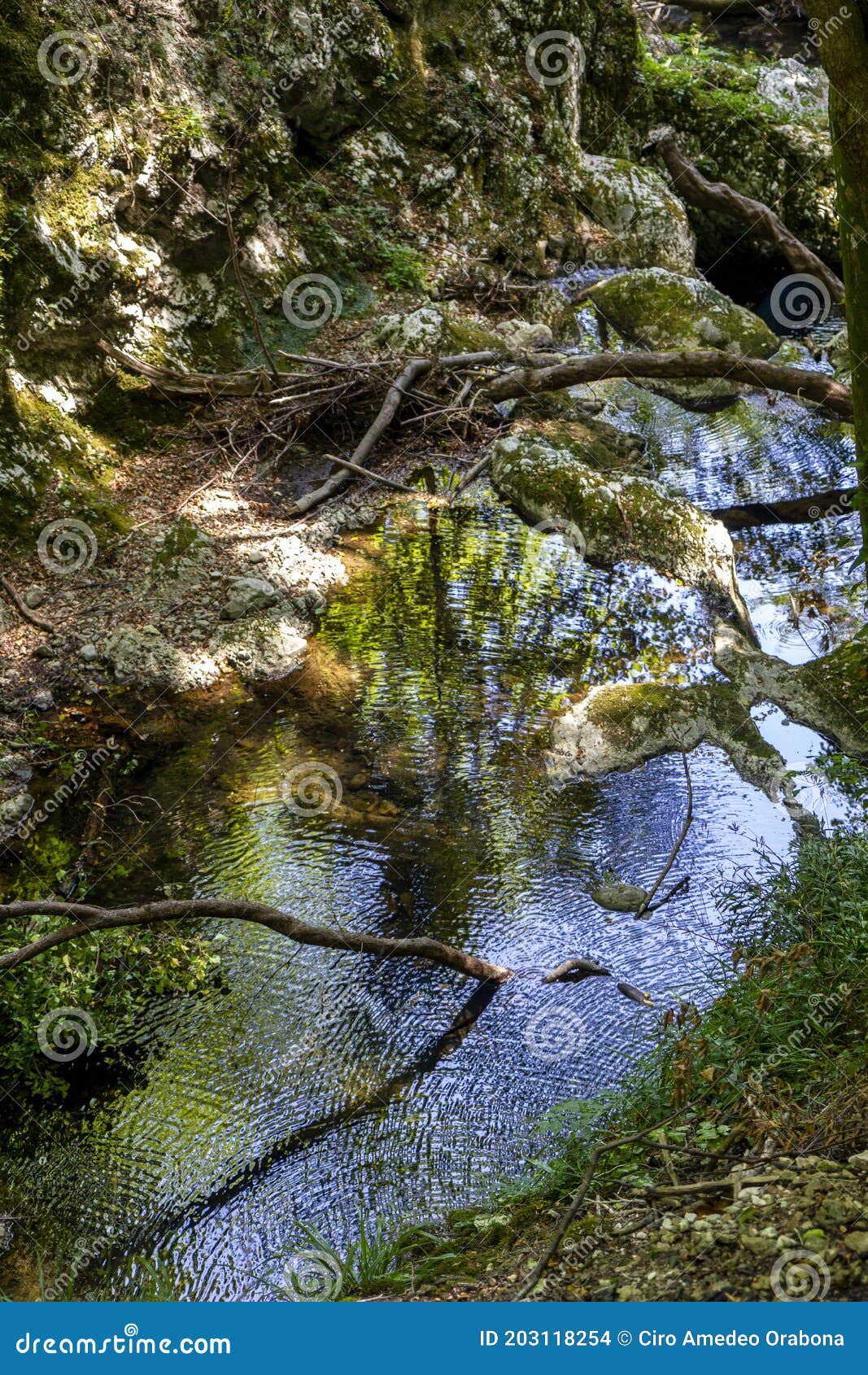 Abstract Reflection of River Stock Photo - Image of morning, italy ...