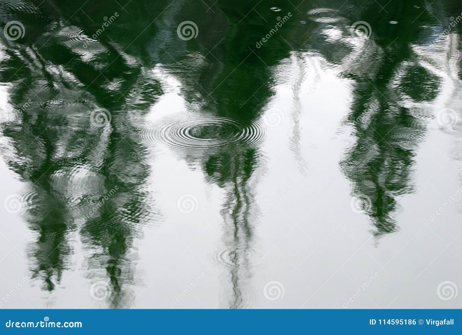 Abstract Reflection of Trees in Still Lake with Ripples on Rainy Day ...