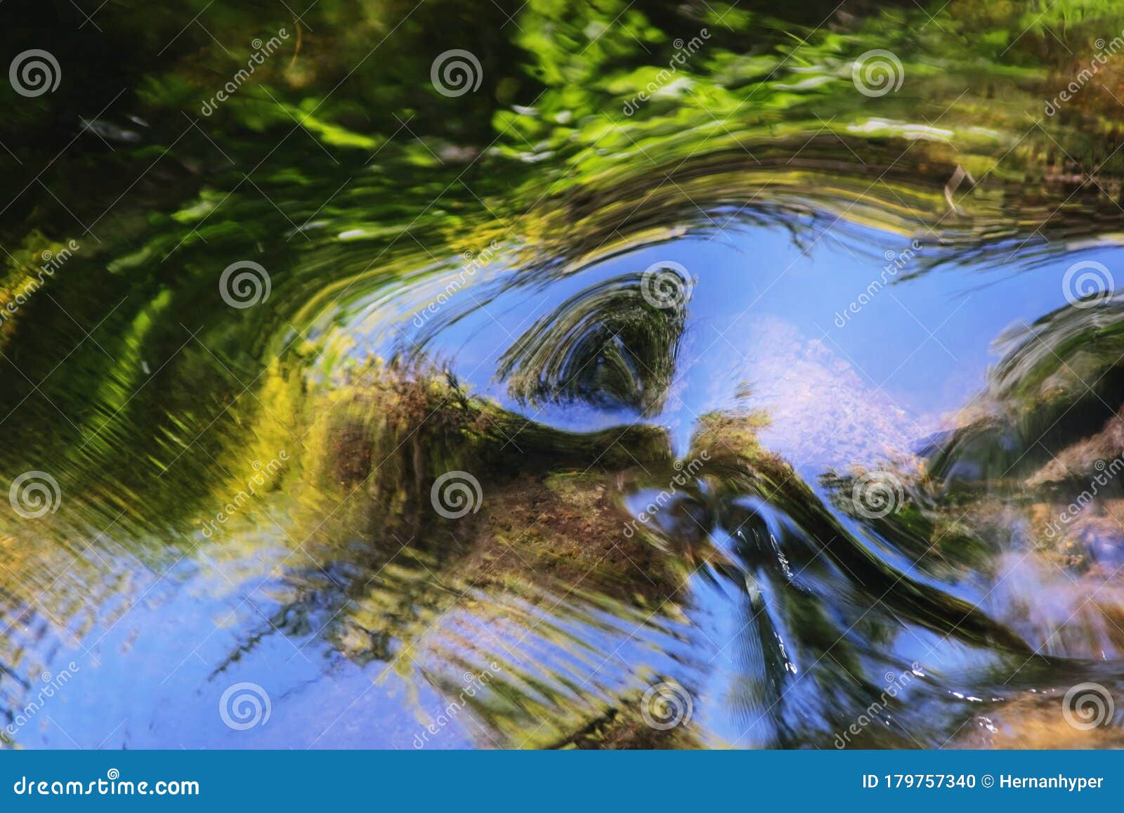 Abstract Reflections of the Forest on a Clear, Natural Water Stream ...