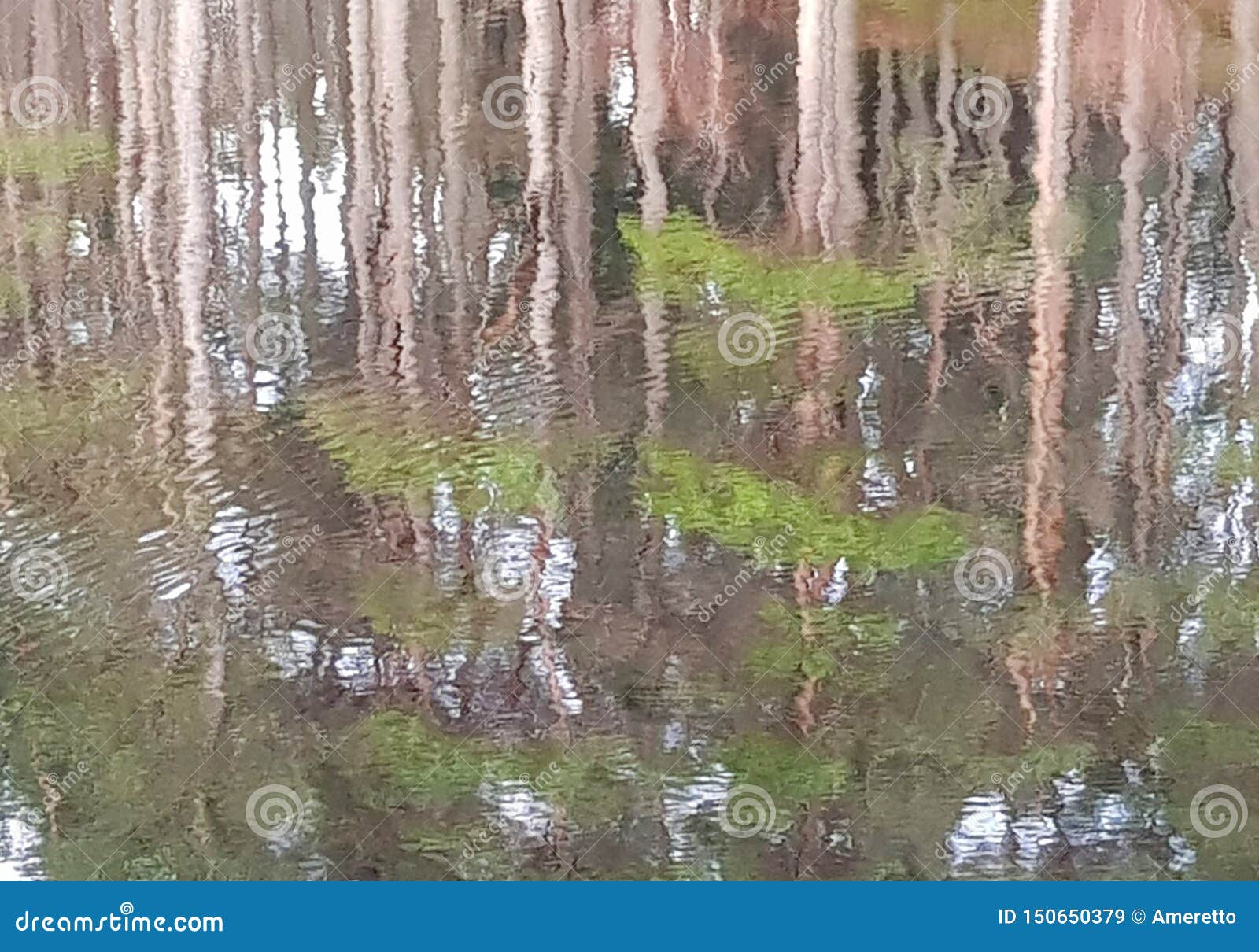 Abstract Reflections of Pine Trees, Reflected in Scottish Loch Stock ...