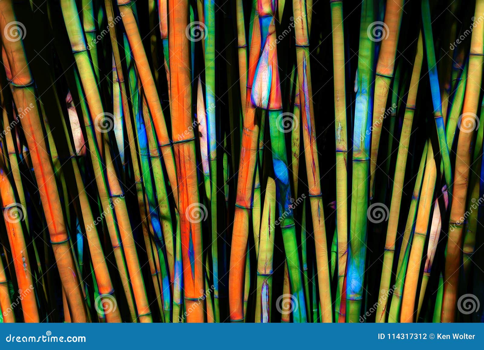 Abstract Rendition of Bamboo Forest Stock Photo - Image of botany ...