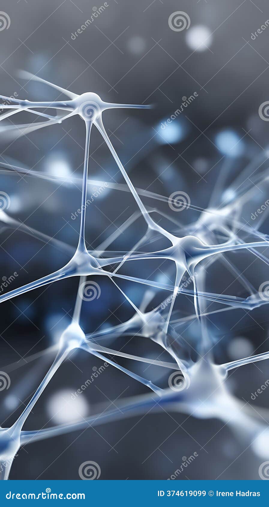 Map Neuronal Connections: Revealing Patterns And New Neurons. Stock ...