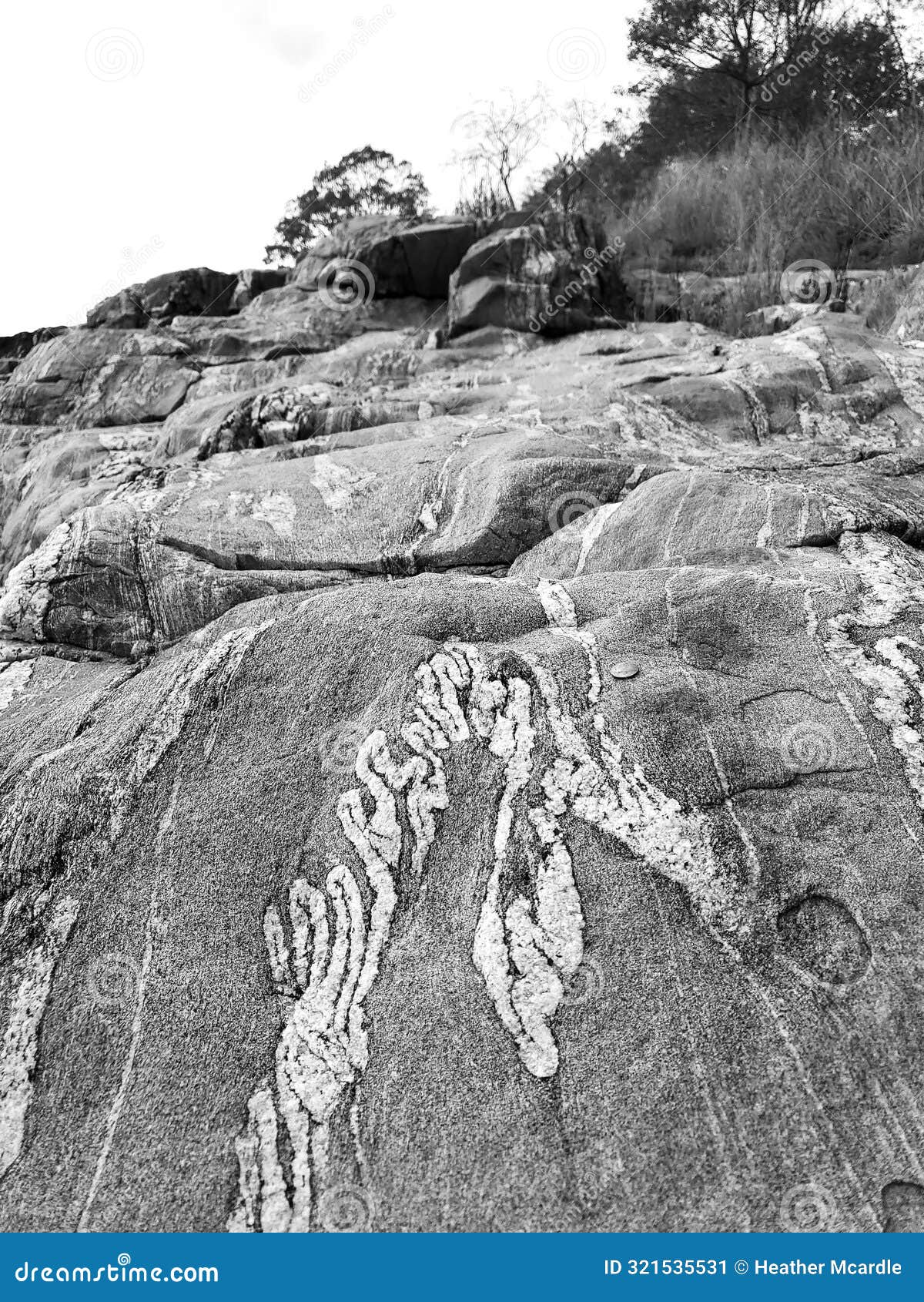 Abstract Rock Pattern with Swirls and Curves in Black and White ...