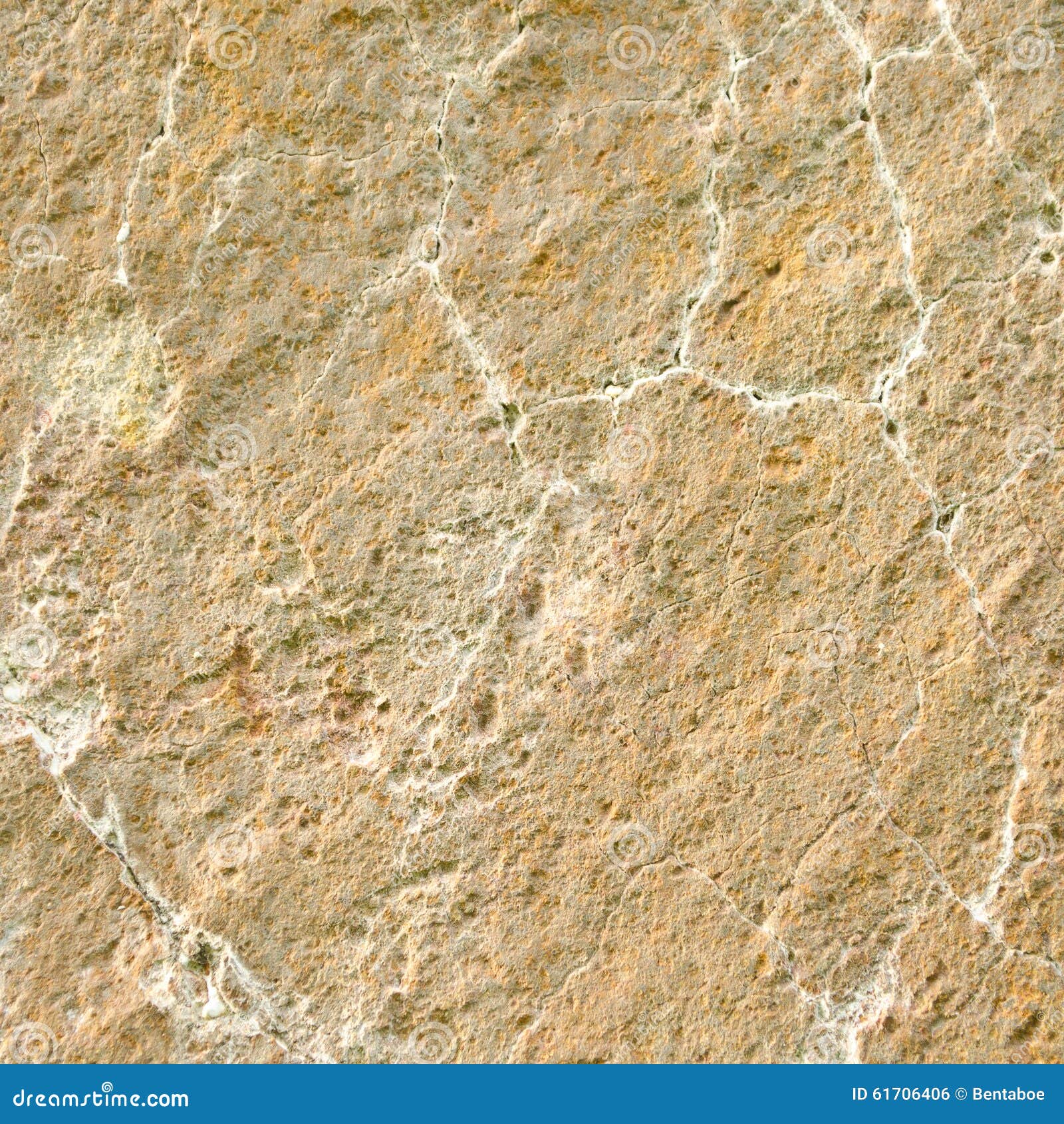 Abstract rock texture stock photo. Image of brown, arid - 61706406