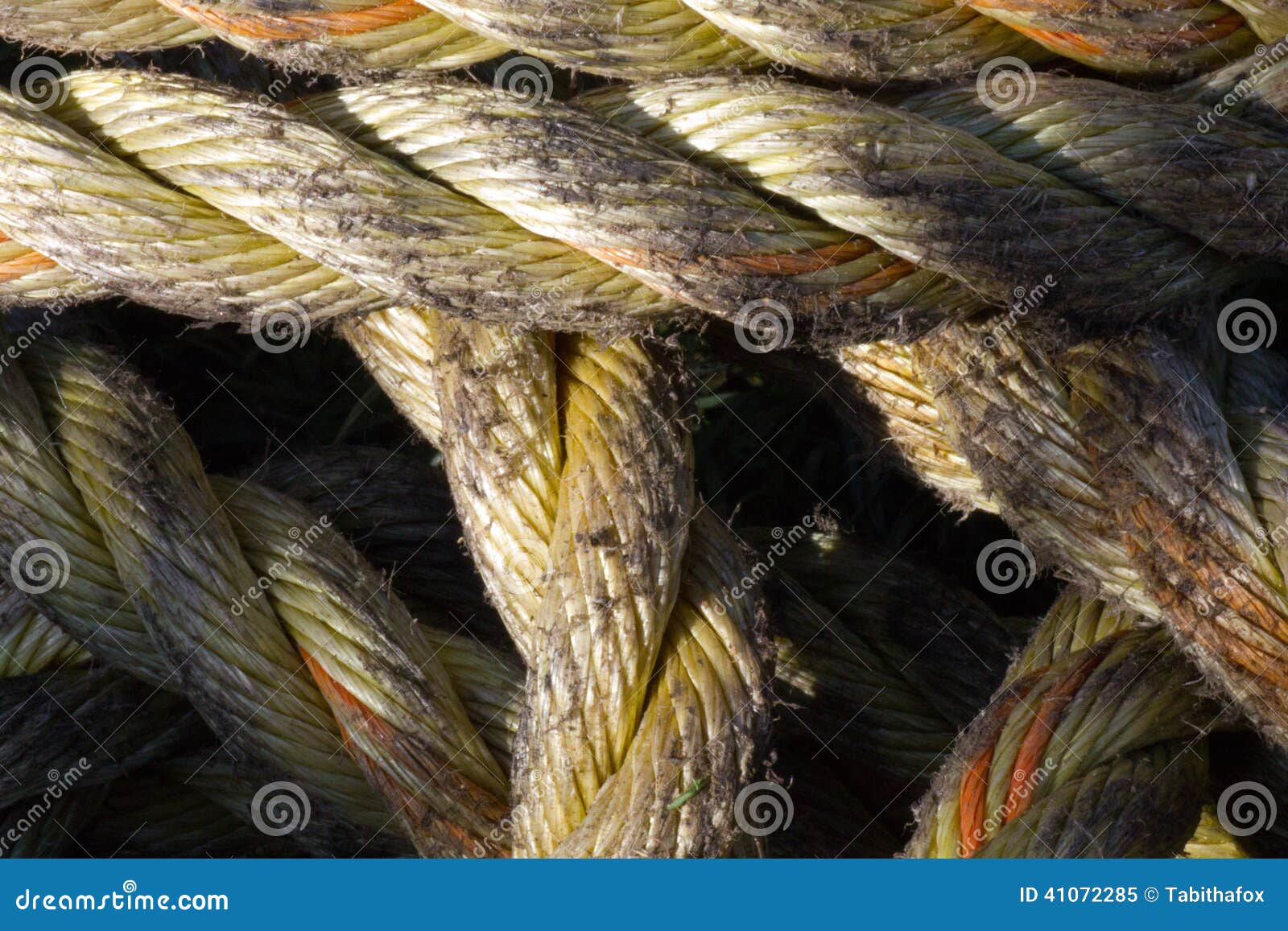 Abstract Ropes, Cables, Hems Background, Tangled Rope Rope Background ...