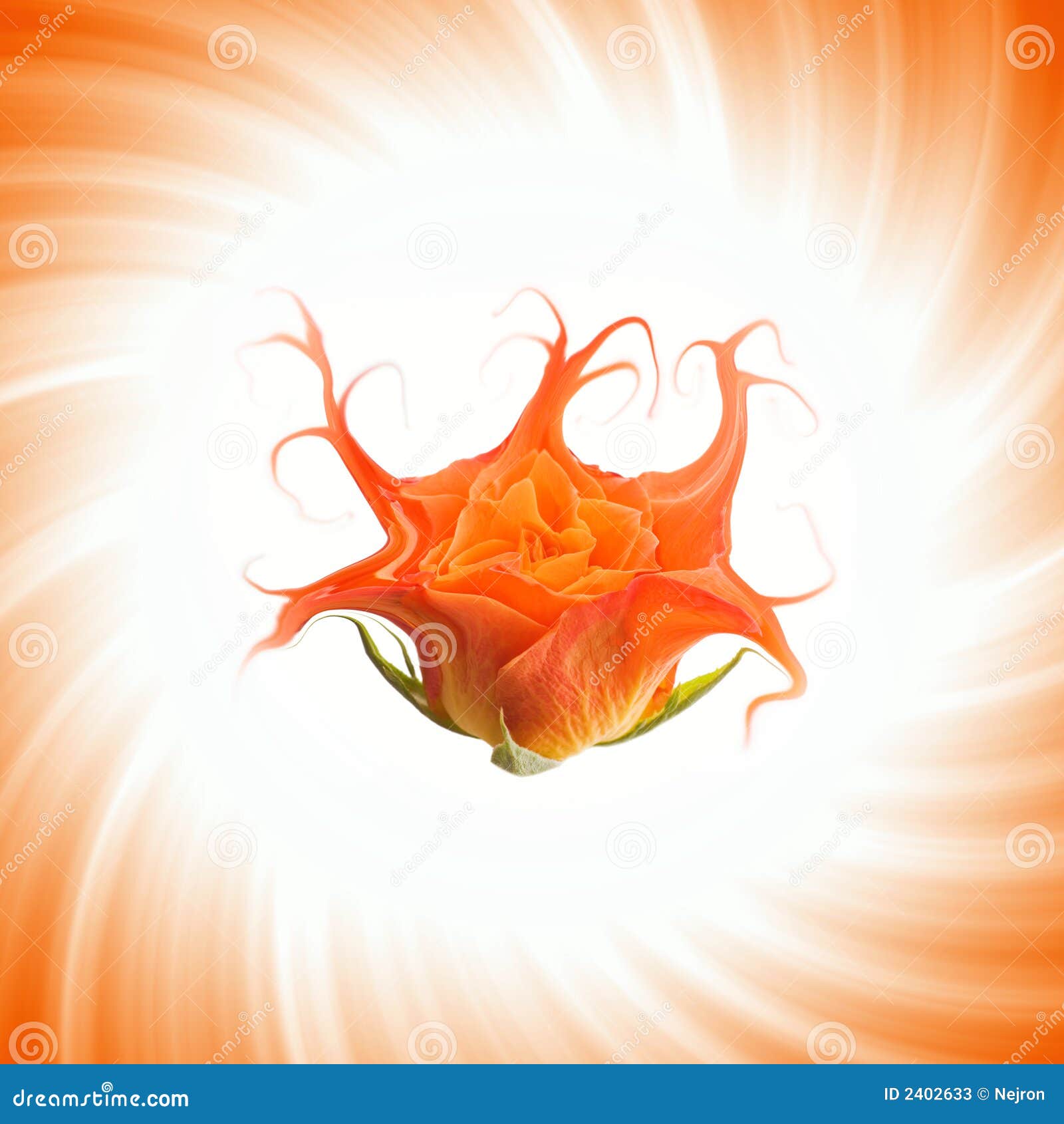 Abstract rose stock illustration. Illustration of monster - 2402633