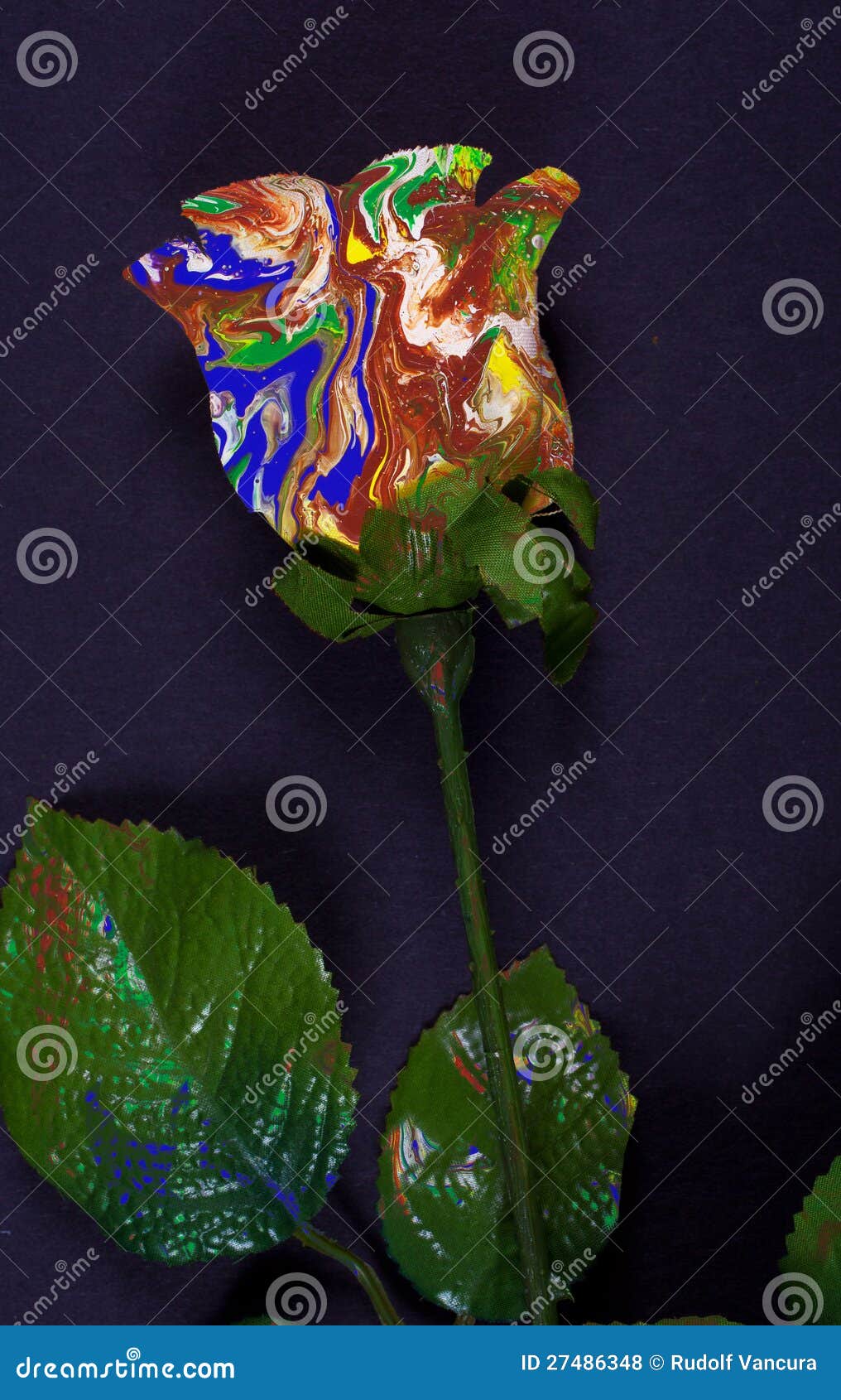 Abstract Rose stock photo. Image of design, layer, abstractly - 27486348