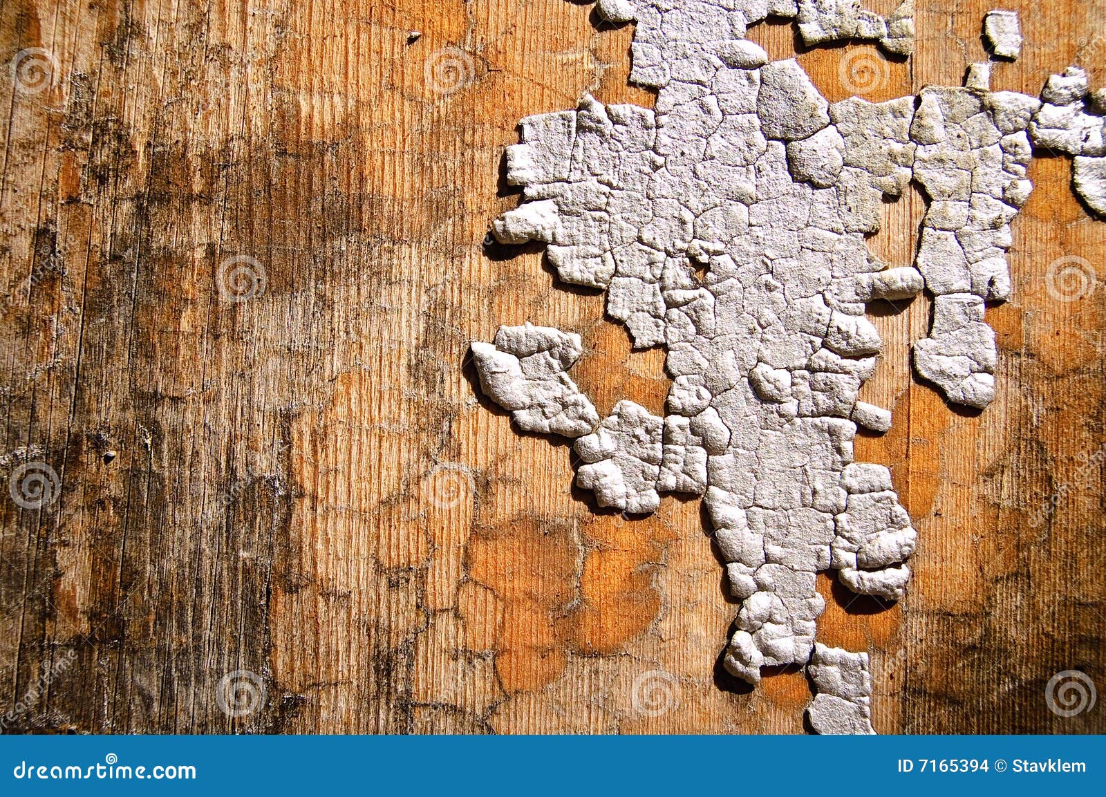 Abstract rough background stock photo. Image of macro - 7165394