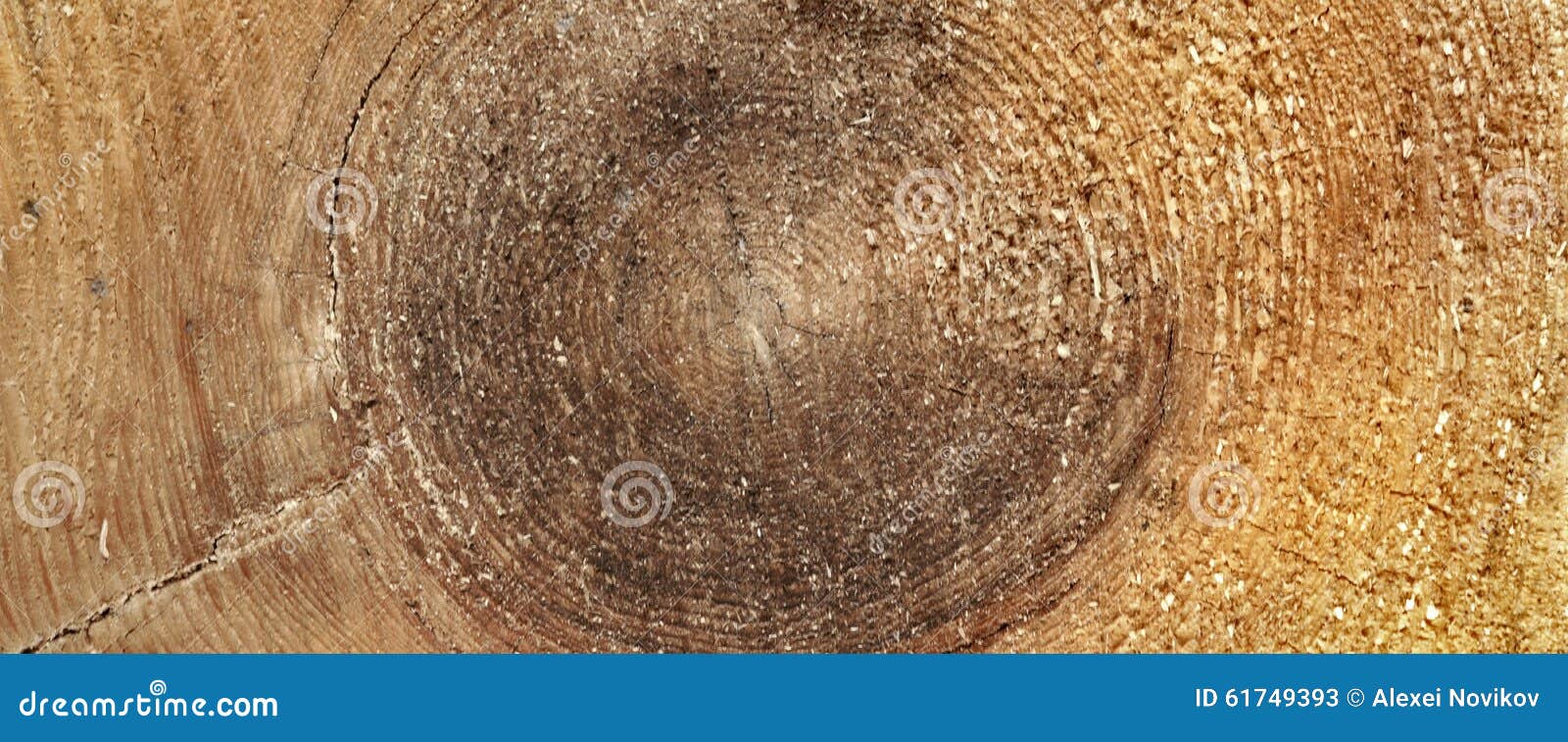 Abstract Rough Pine Wood Grain Wide Texture Close-up Stock Image ...