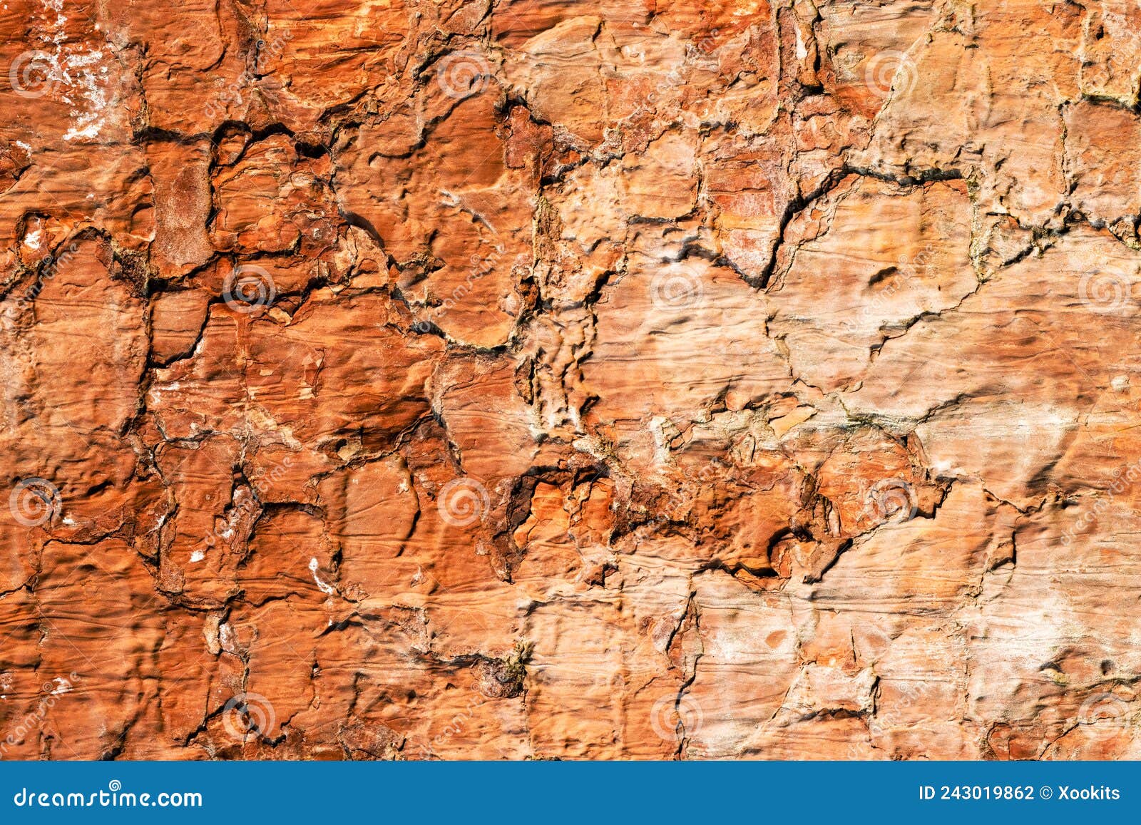 Abstract Rugged Concrete Floor Texture Stock Image | CartoonDealer.com ...