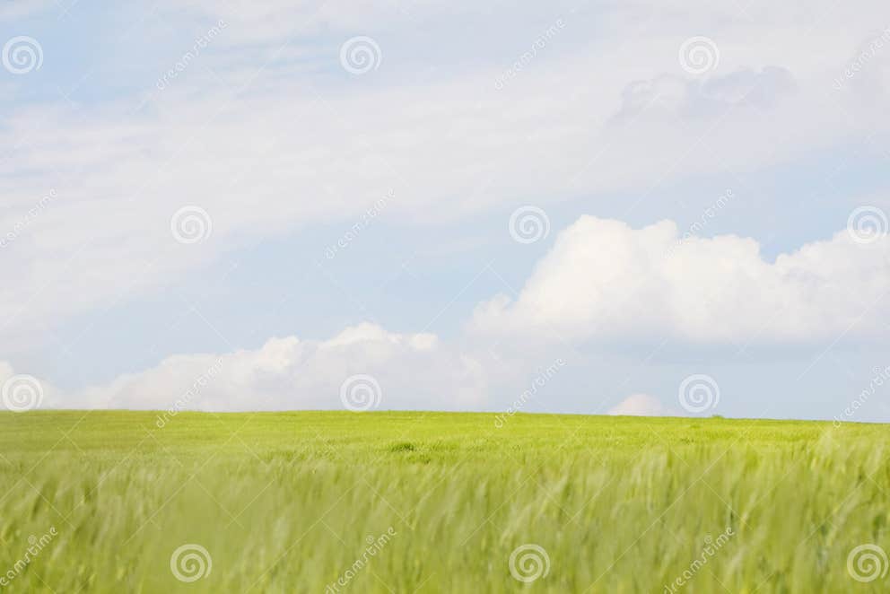Abstract rural landscape stock image. Image of natural - 14676377