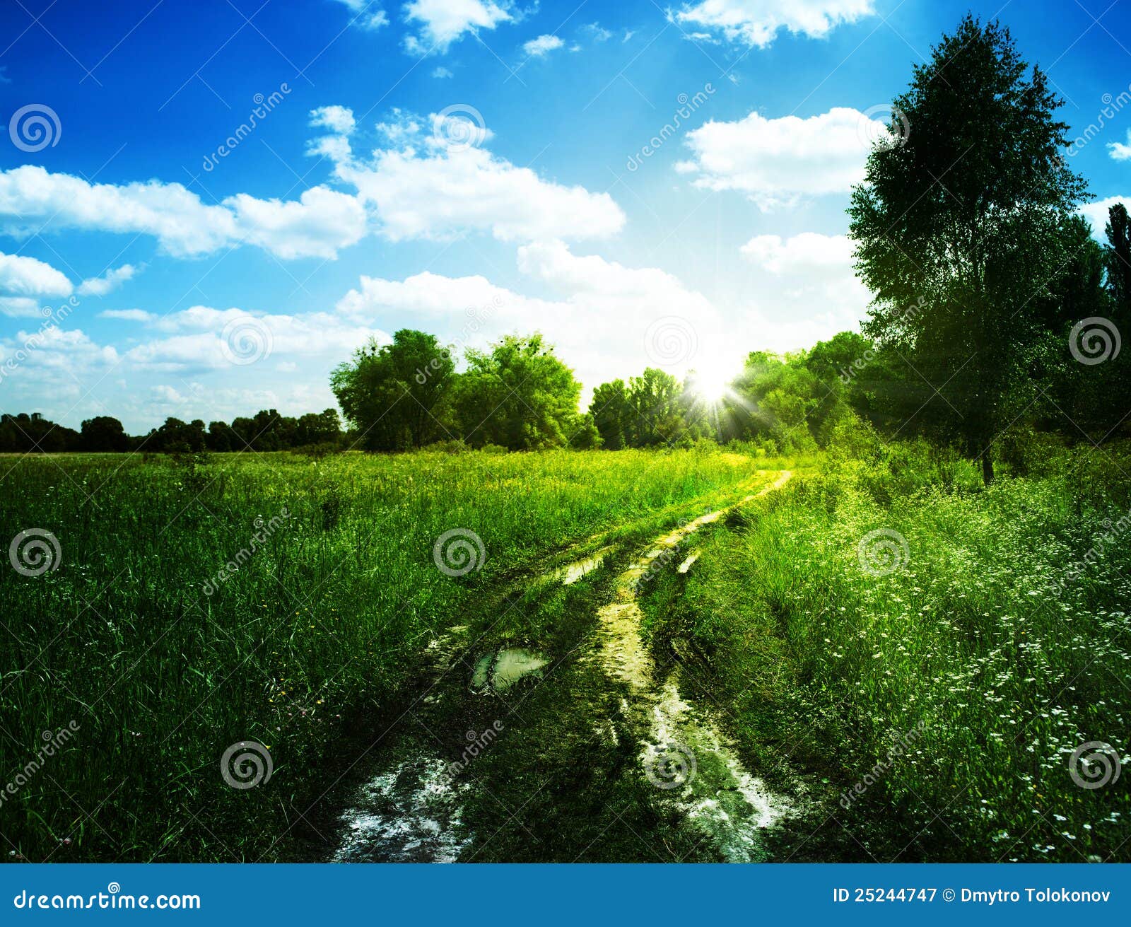 Abstract rural landscape stock image. Image of ripe, lawn - 25244747