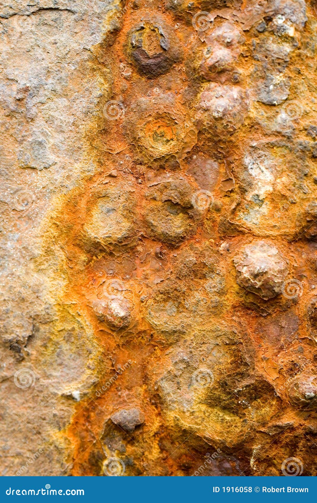 Abstract Rust Color Mixture Shaded With White Backgrounds Vector ...