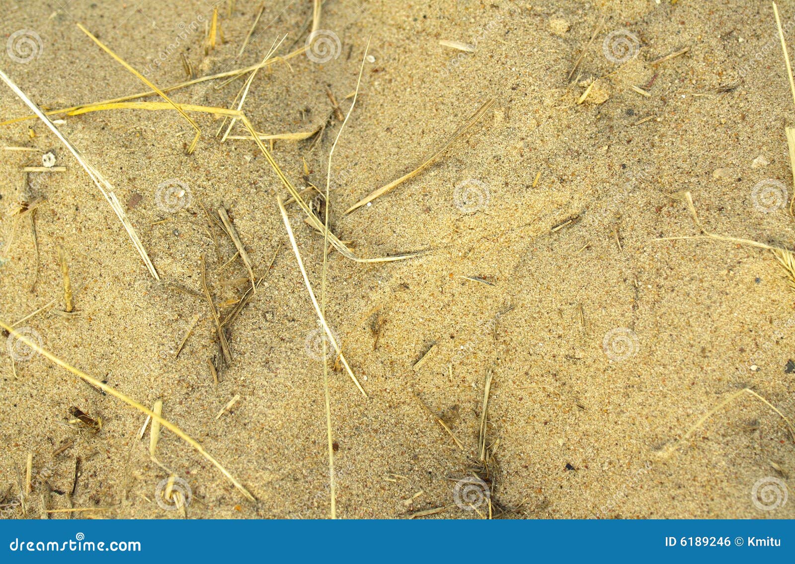 Sandy Background With Prints Of Wheels And Footprints Stock Image ...