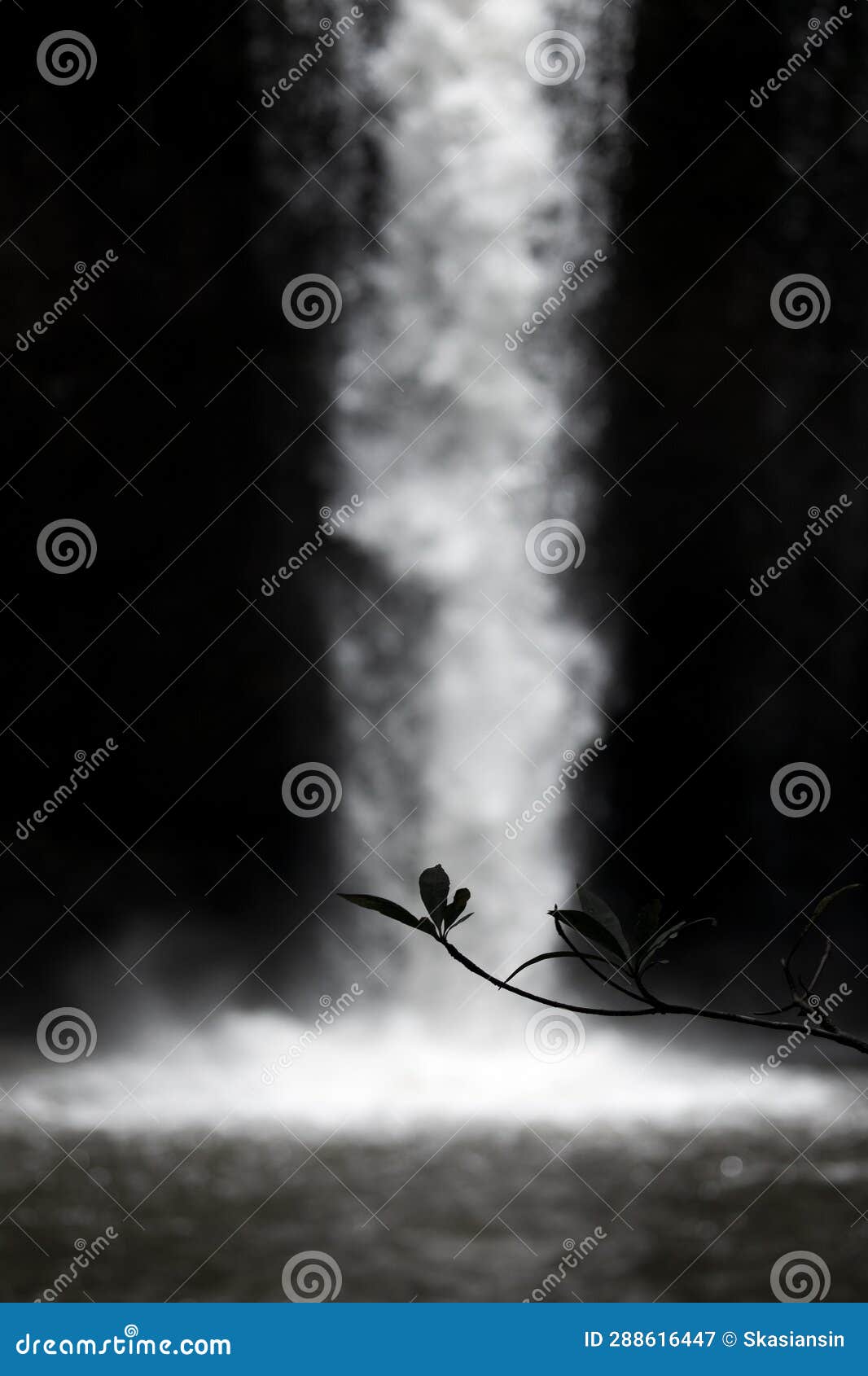 Abstract Scene of Silhouetted Leaves with Blurry Waterfall Inside Dark ...