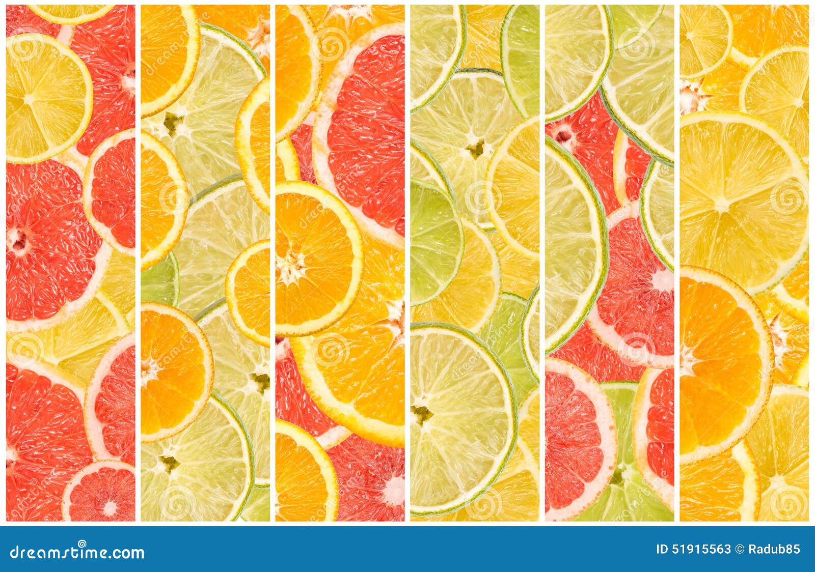 Abstract Seamless Collage of Citrus Fruits Stock Image - Image of ...