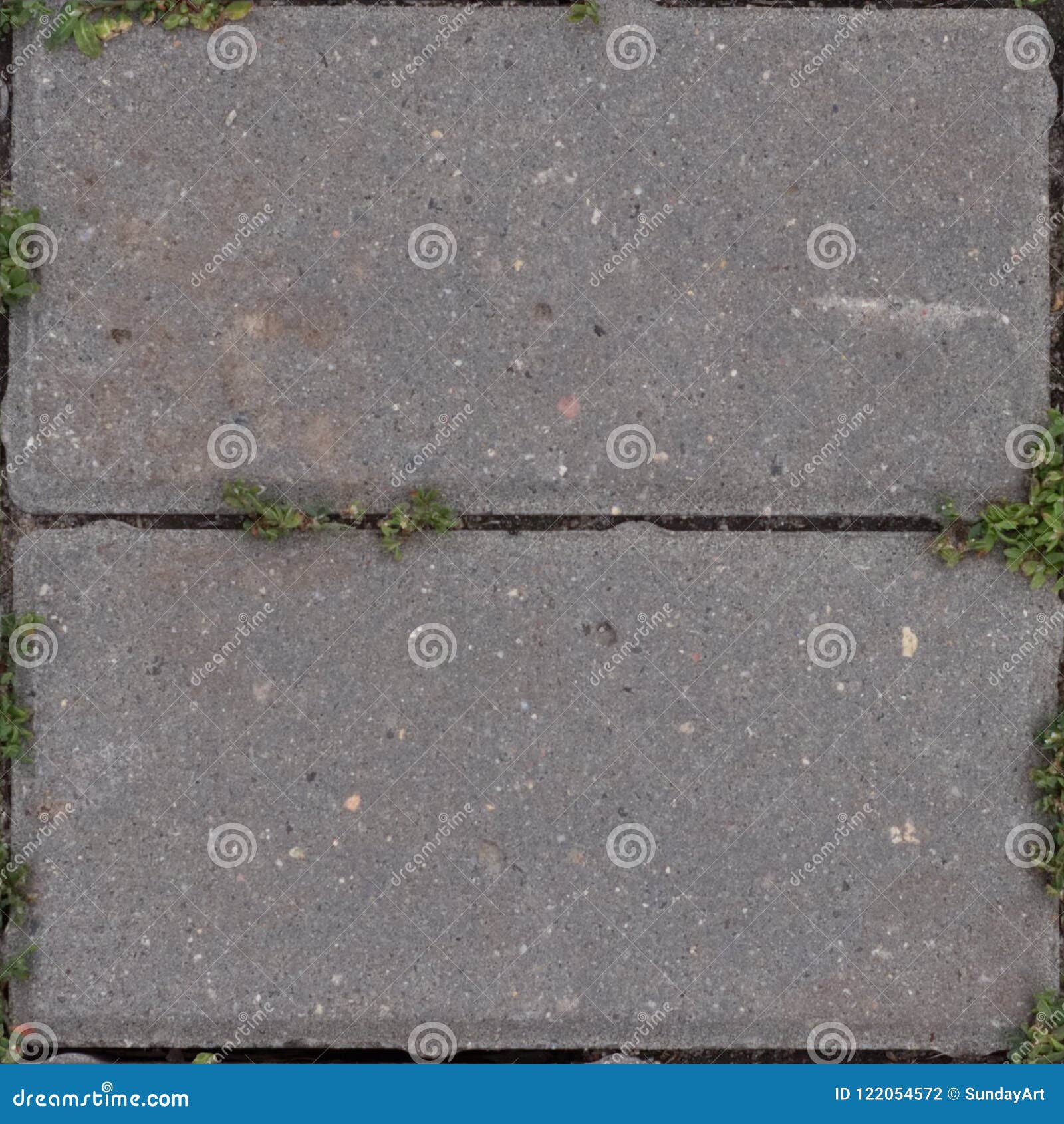 Seamless Pattern with Old Road Tile with Grass Stock Photo - Image of ...